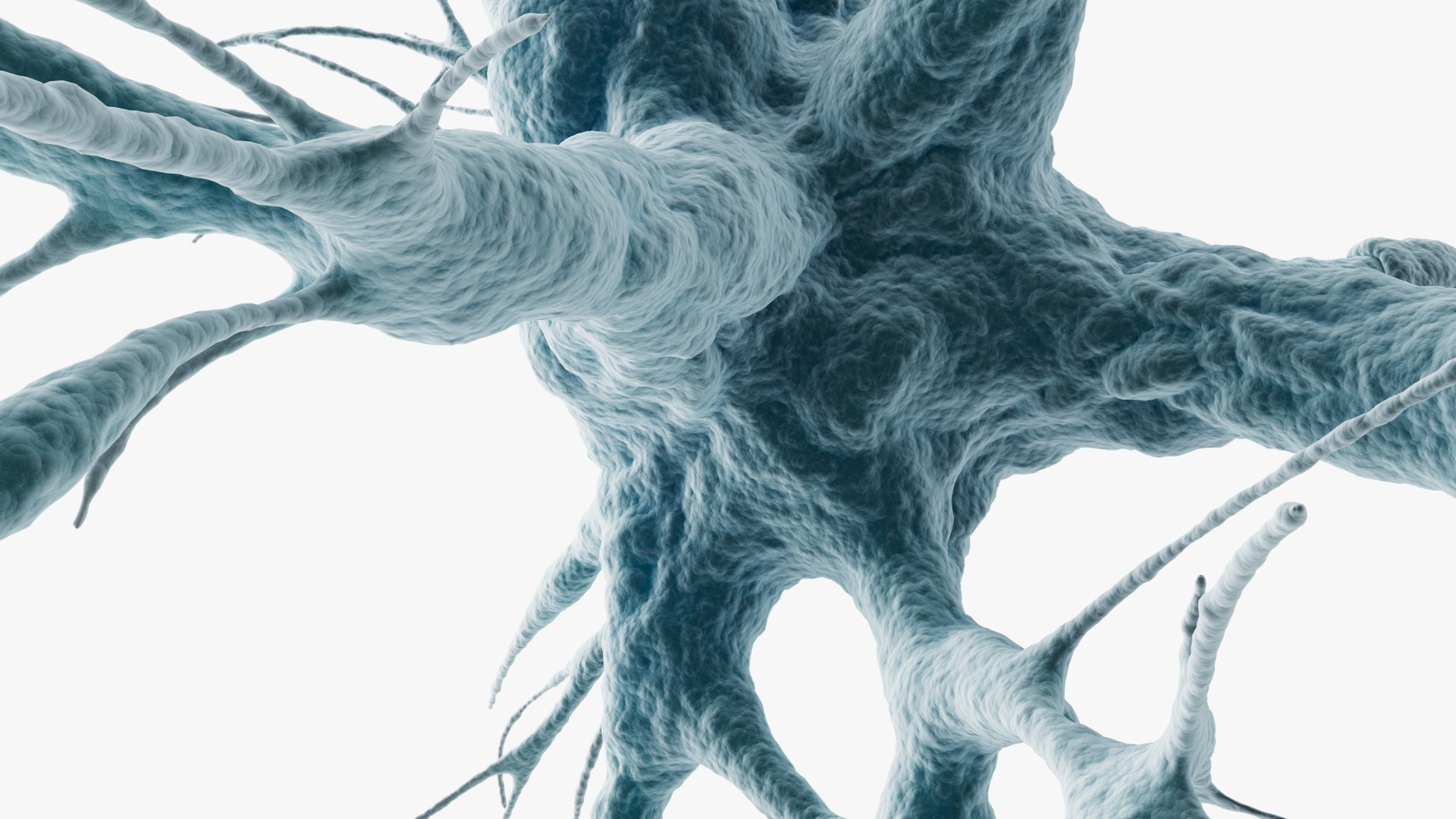 3D Neuron Multipolar Model - TurboSquid 2235301