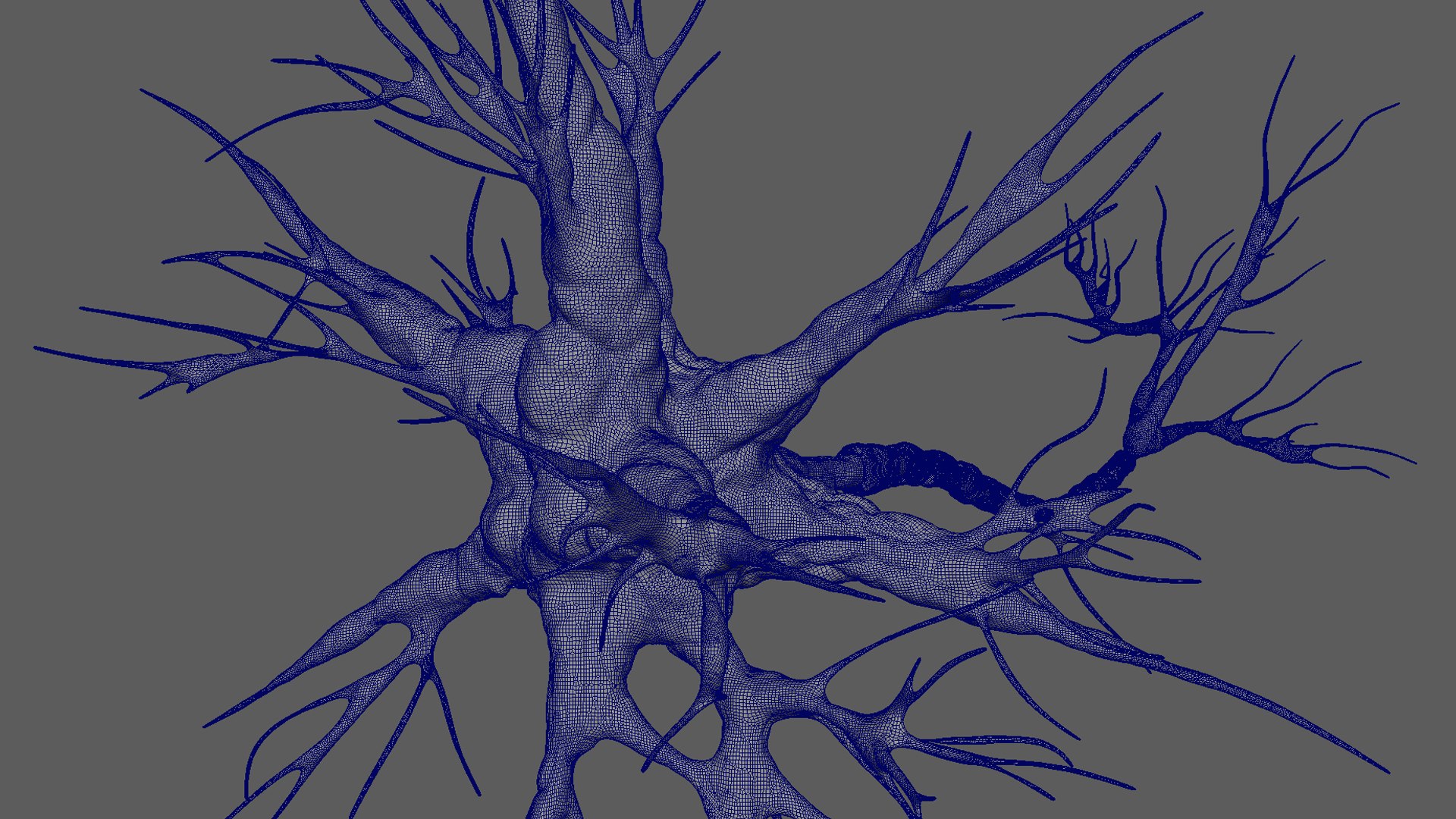 3D Neuron Multipolar Model - TurboSquid 2235301