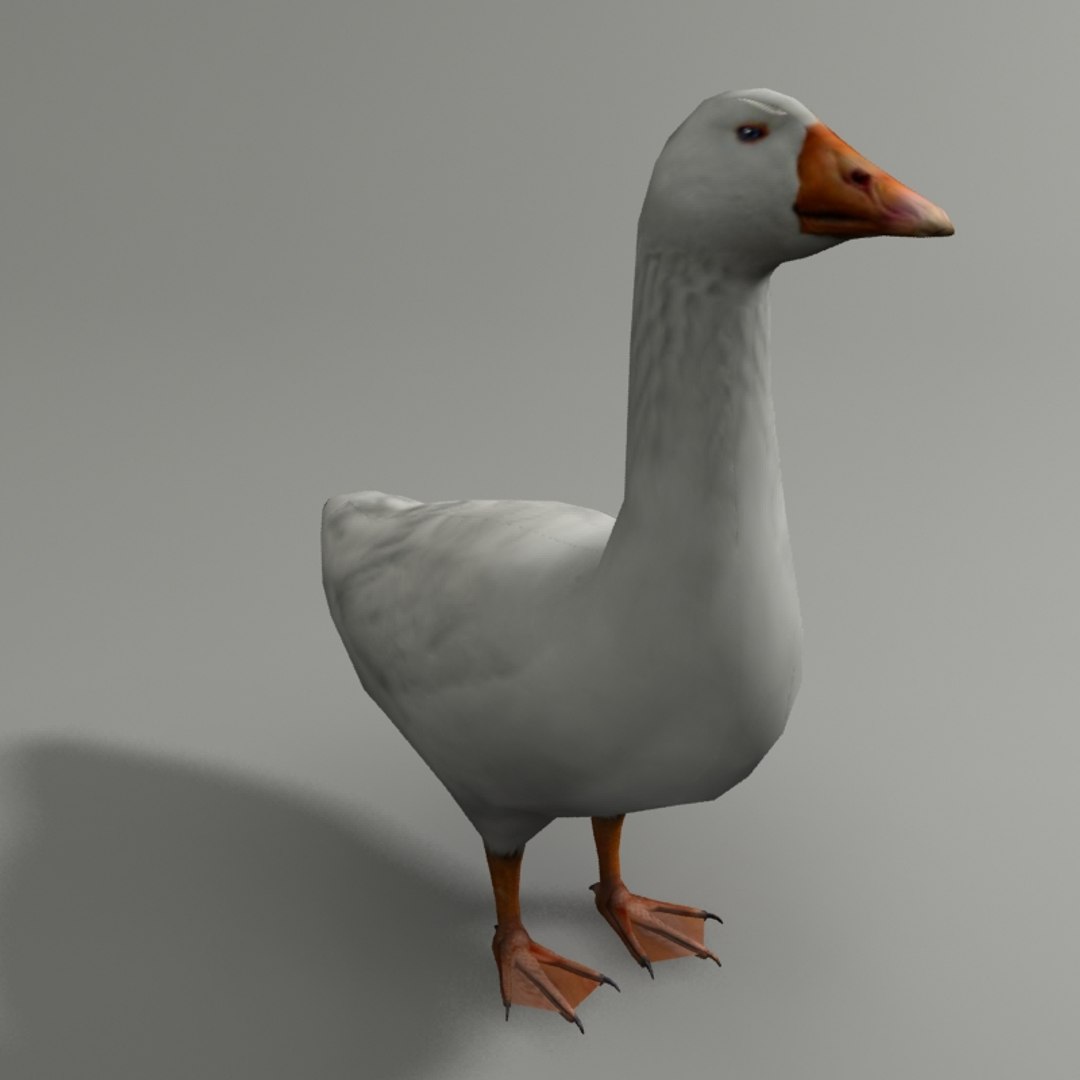 Goose 3ds