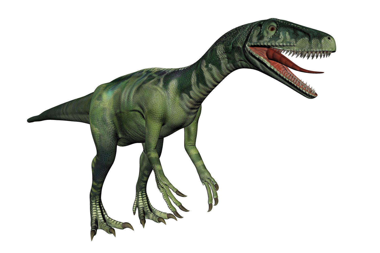 Herrerasaurus Dinosaur Triassic Animal 3D Model - TurboSquid 2330023