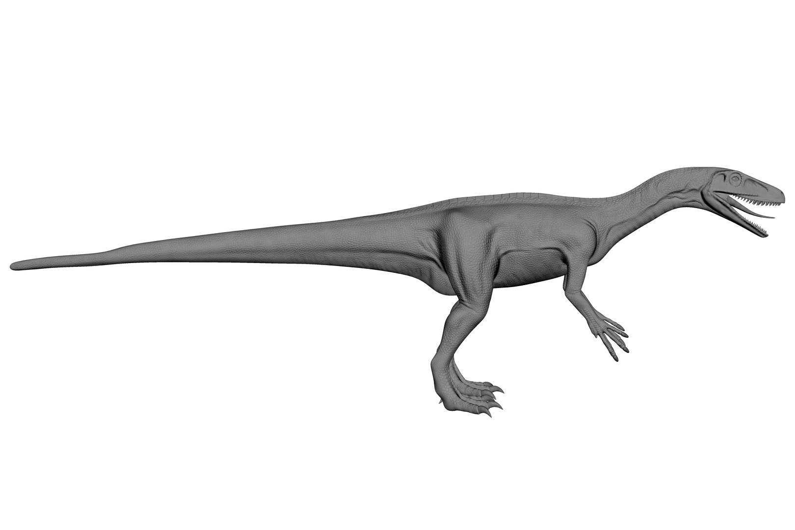 Herrerasaurus Dinosaur Triassic Animal 3D Model - TurboSquid 2330023