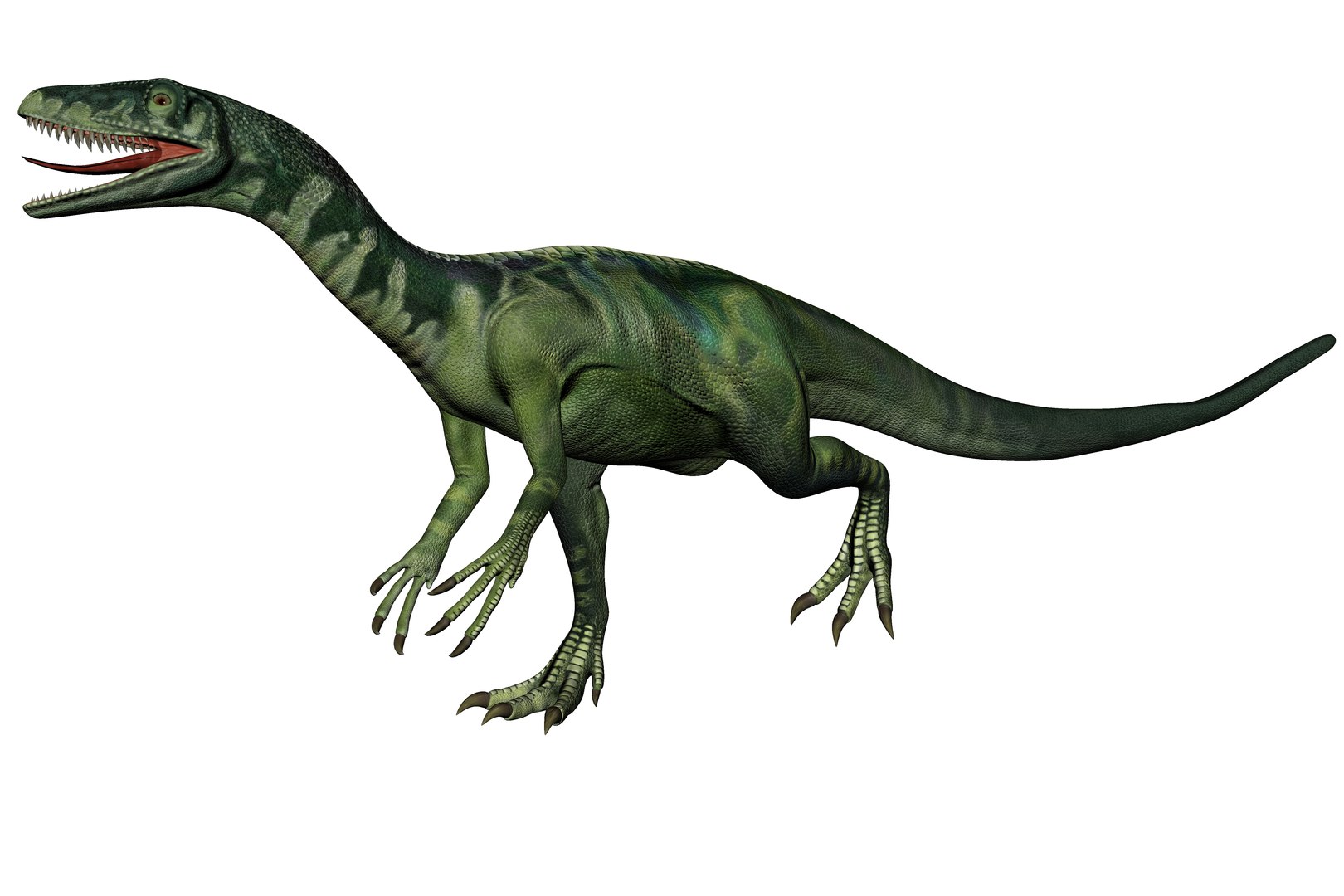 Herrerasaurus Dinosaur Triassic Animal 3D Model - TurboSquid 2330023