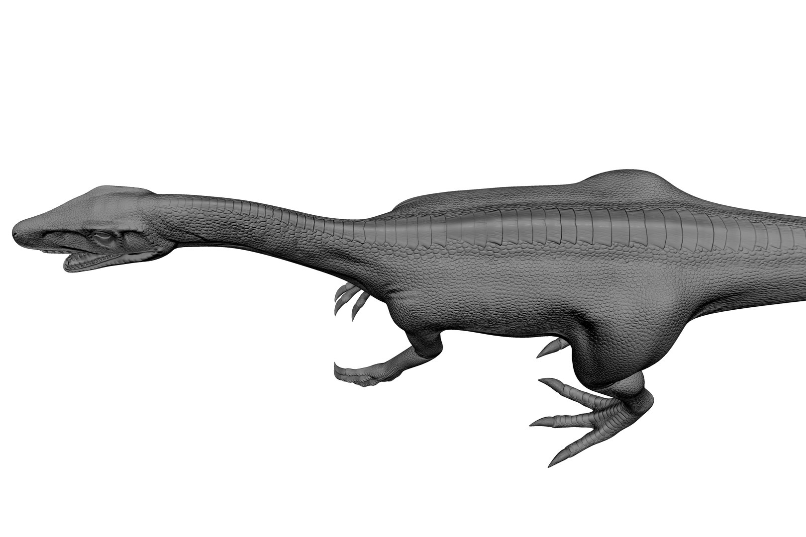 Herrerasaurus Dinosaur Triassic Animal 3D Model - TurboSquid 2330023