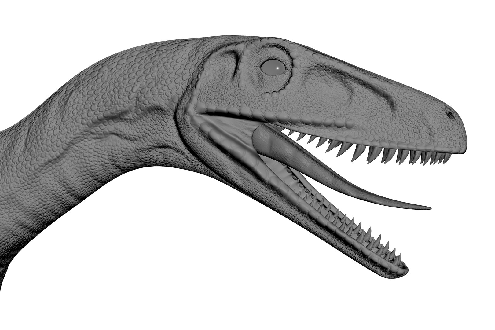 Herrerasaurus Dinosaur Triassic Animal 3D Model - TurboSquid 2330023