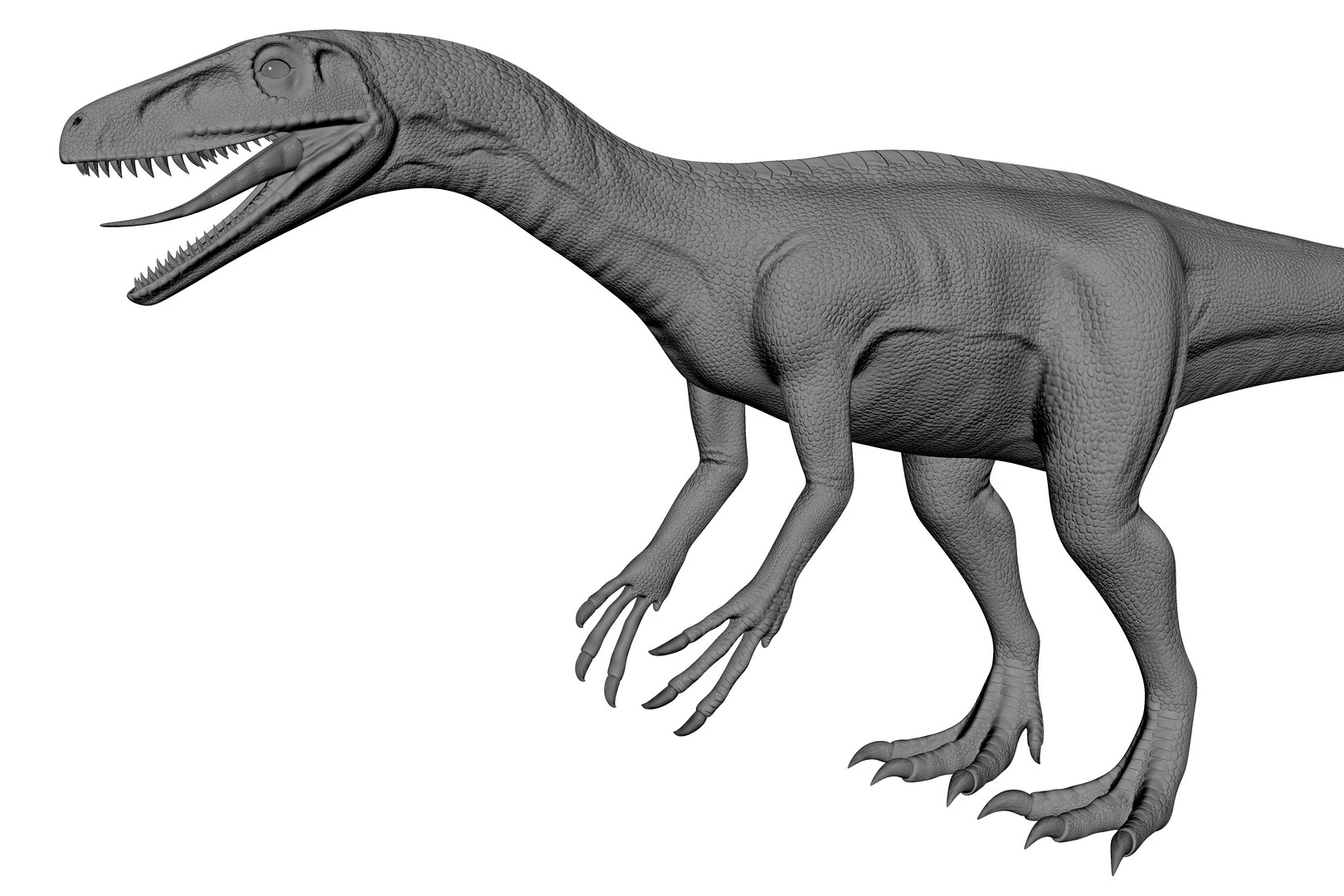 Herrerasaurus Dinosaur Triassic Animal 3D Model - TurboSquid 2330023