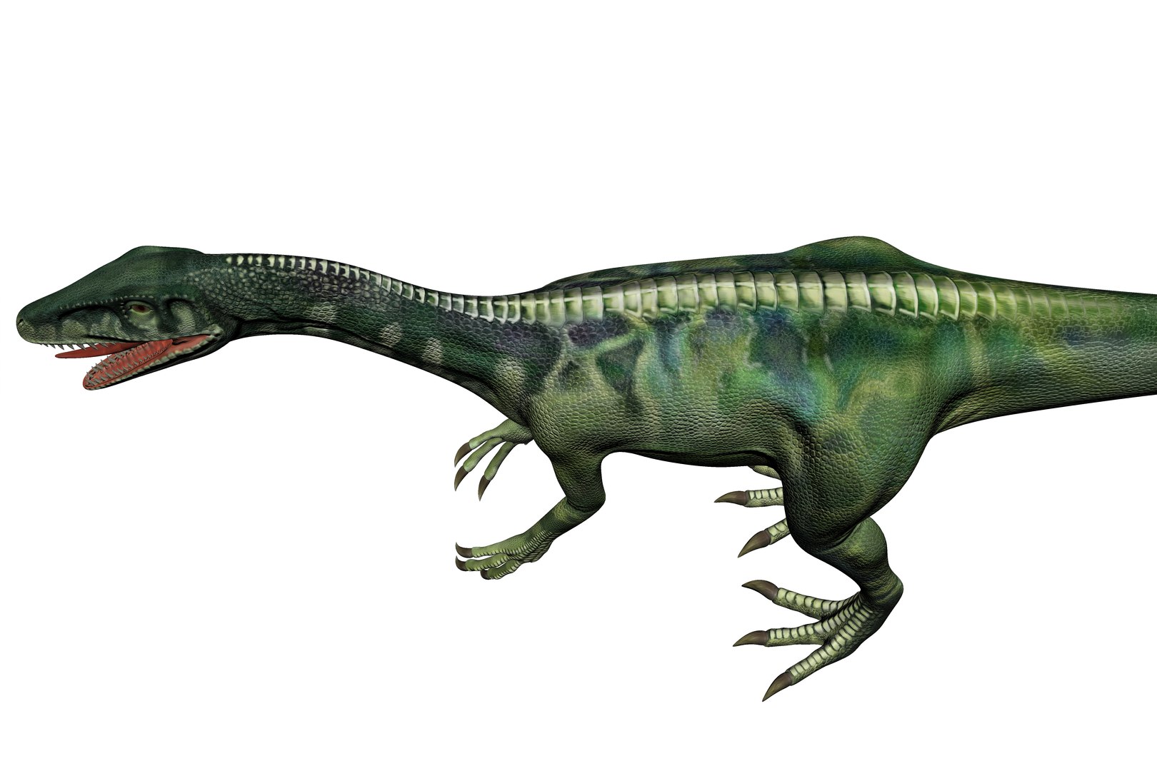 Herrerasaurus Dinosaur Triassic Animal 3D Model - TurboSquid 2330023