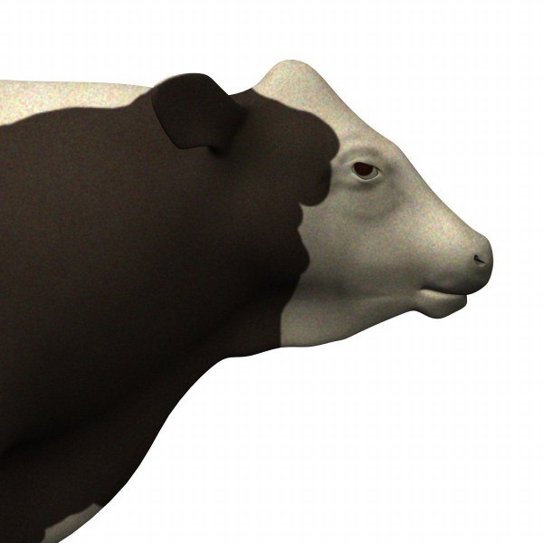 3d model cow