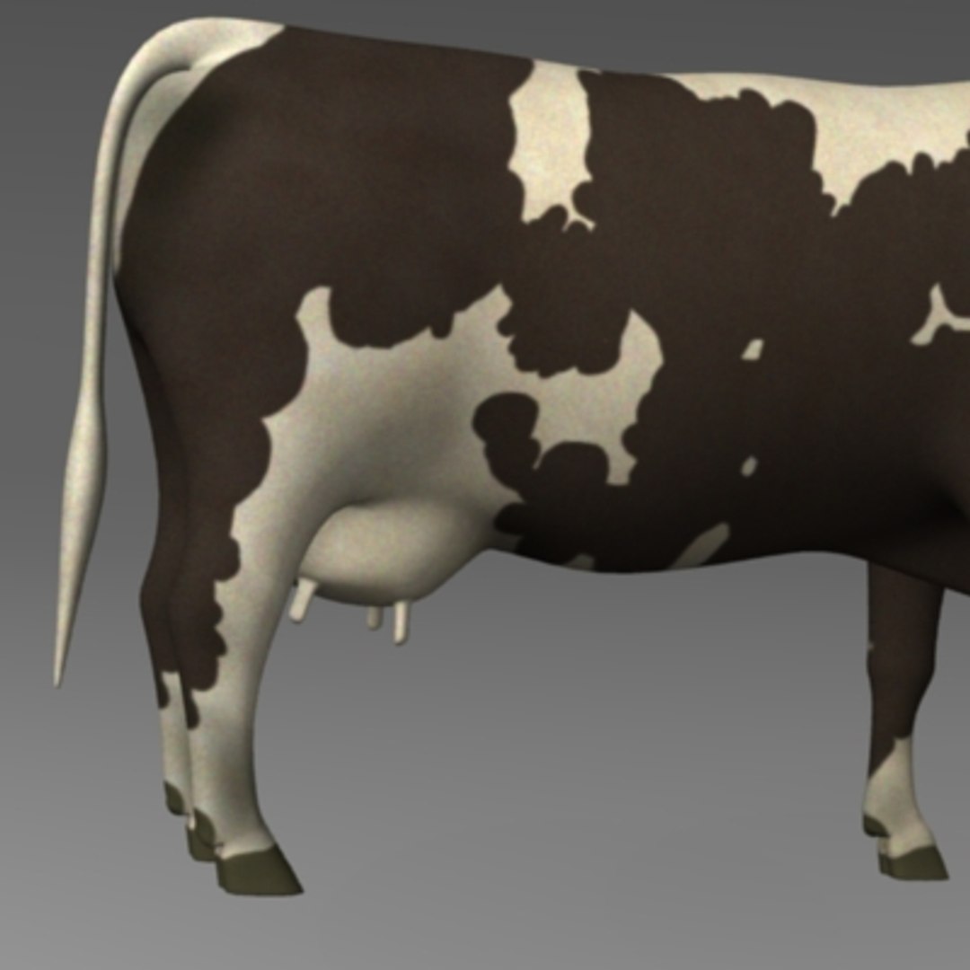 3d Model Cow