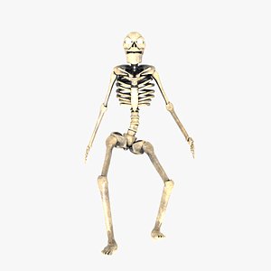 Free 3D Skeleton Models | TurboSquid