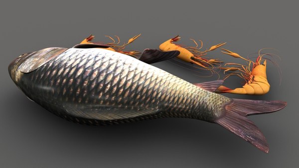 3D seafood sea food - TurboSquid 1261539