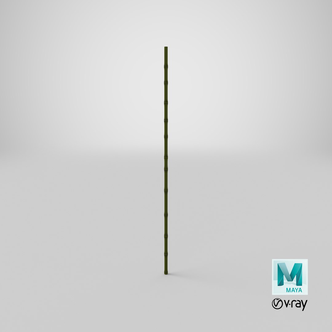 3D Model Bamboo Bo Staff - TurboSquid 1466256