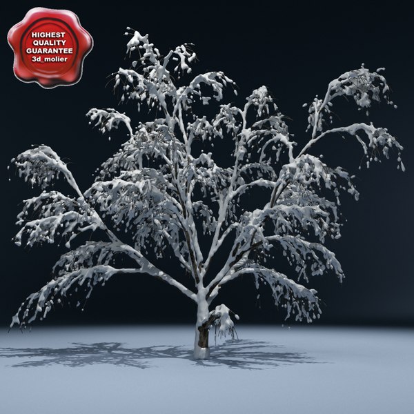 Snow Tree Maya Models for Download | TurboSquid