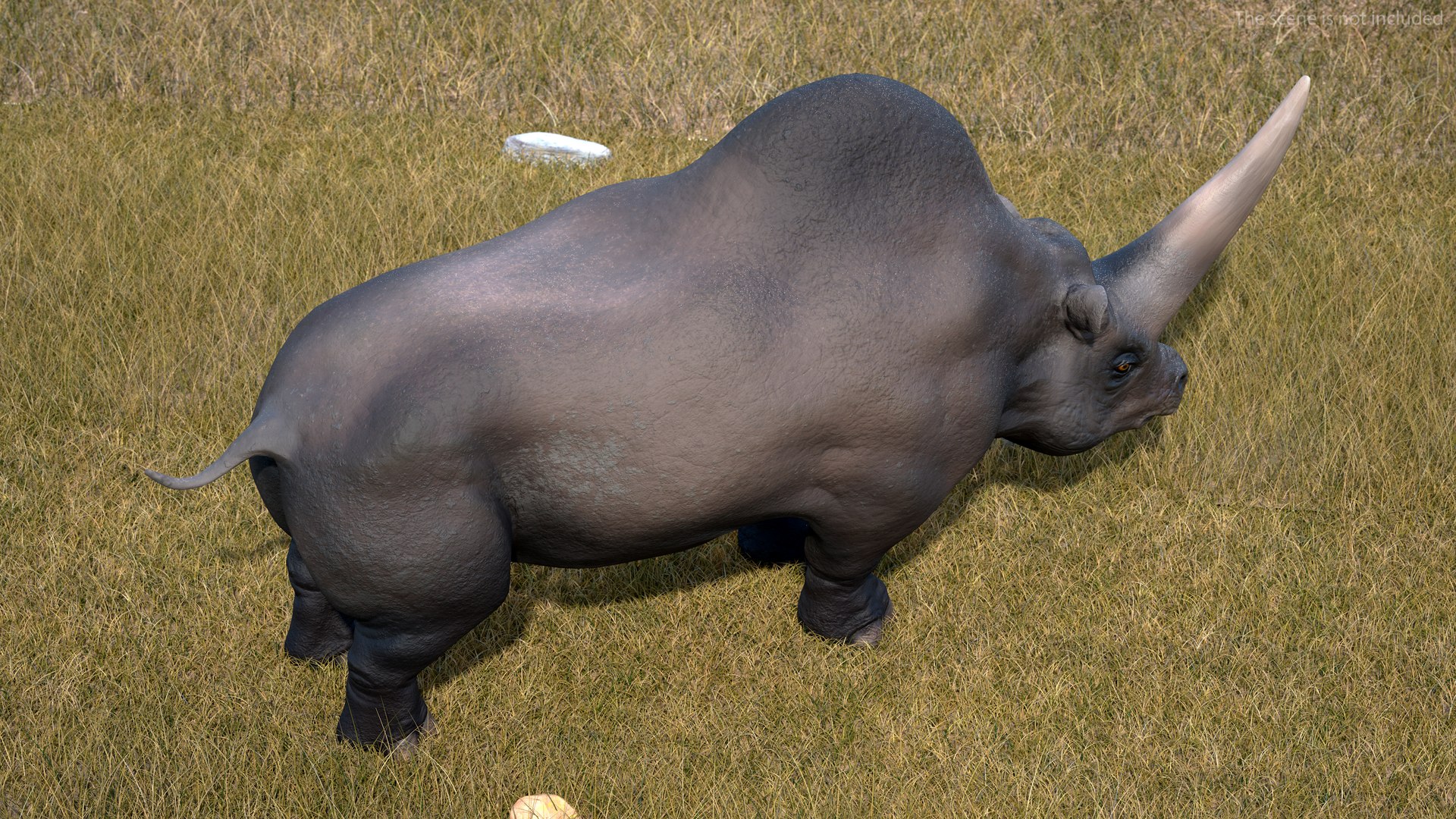 Elasmotherium Rigged For Cinema 4D 3D Model - TurboSquid 1997616