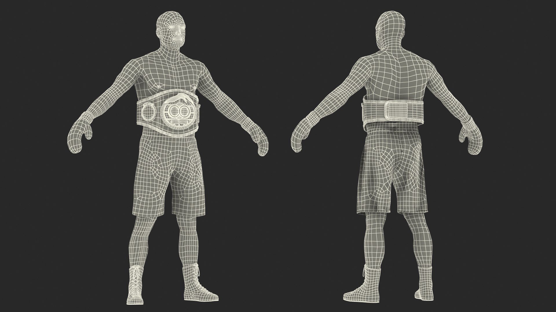 IBF Boxing Champion Rigged 3D Model - TurboSquid 2121995