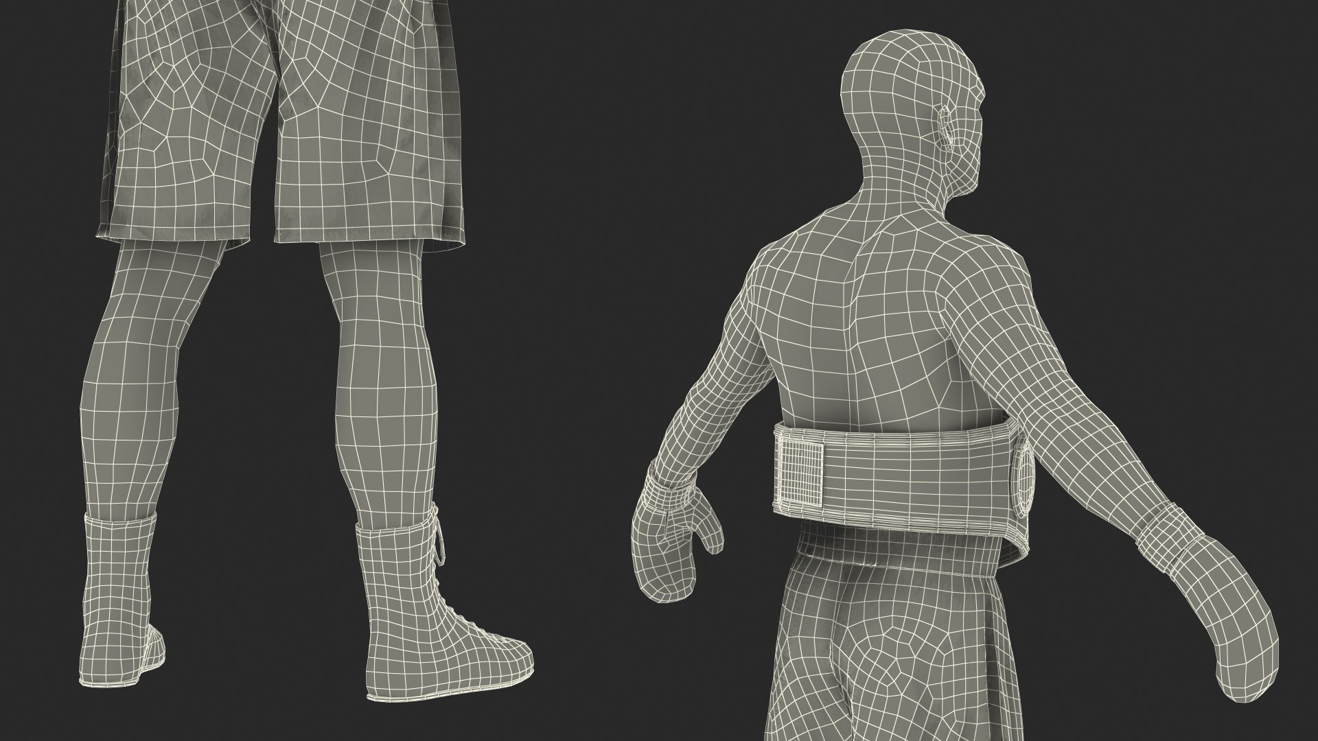 IBF Boxing Champion Rigged 3D Model - TurboSquid 2121995