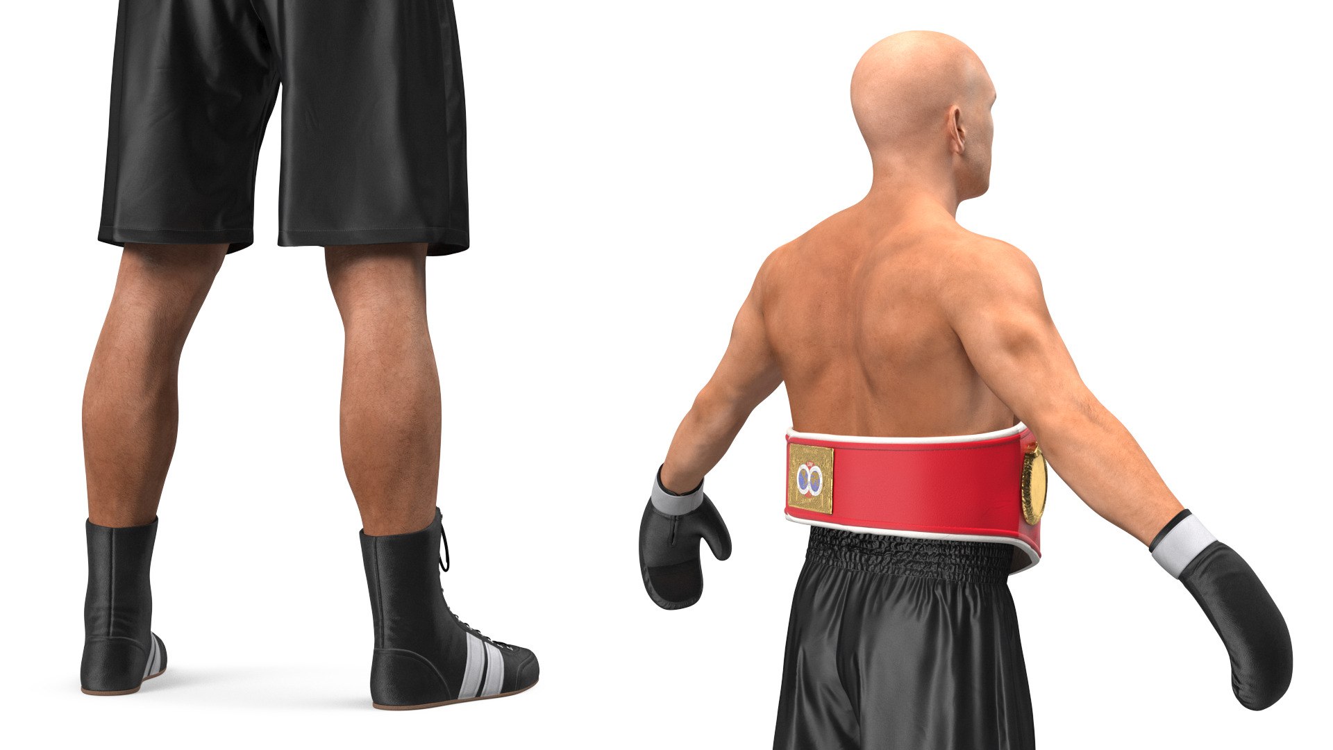 IBF Boxing Champion Rigged 3D Model - TurboSquid 2121995