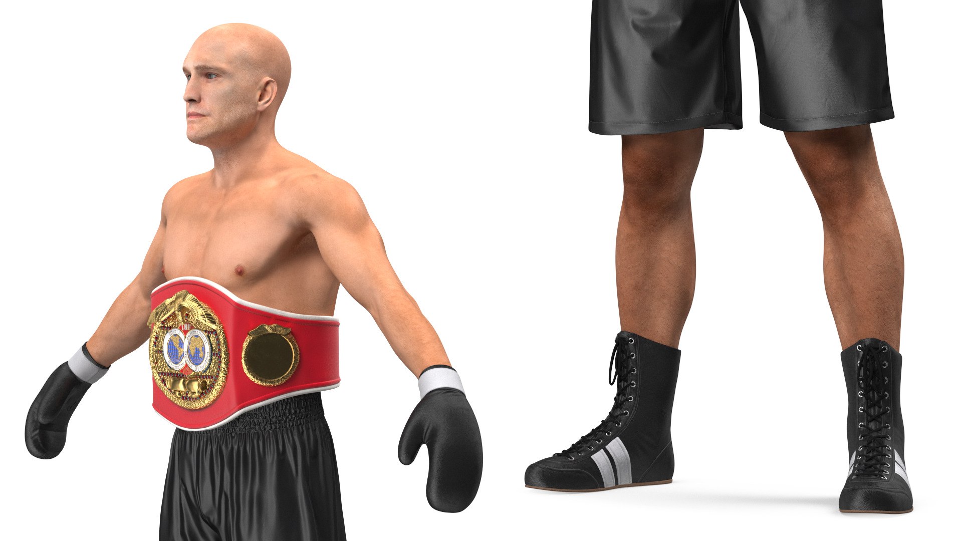 IBF Boxing Champion Rigged 3D Model - TurboSquid 2121995