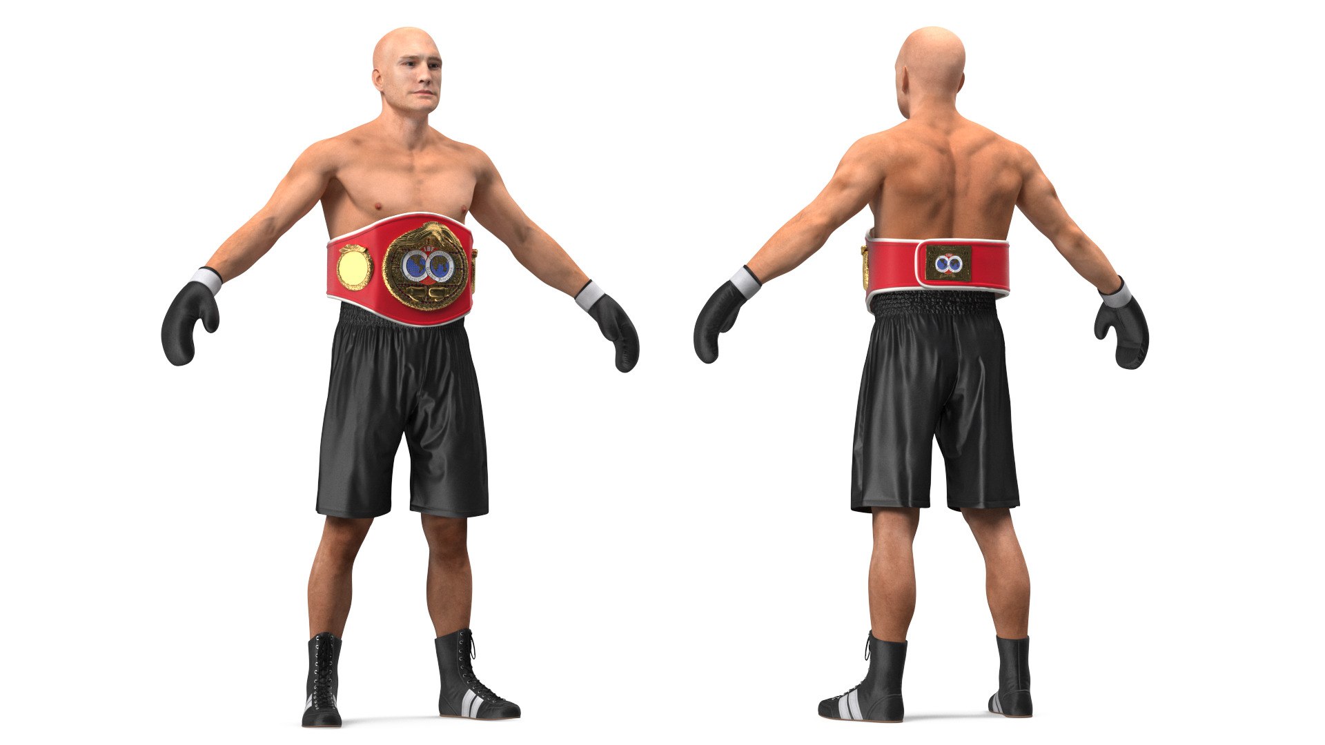 IBF Boxing Champion Rigged 3D Model - TurboSquid 2121995