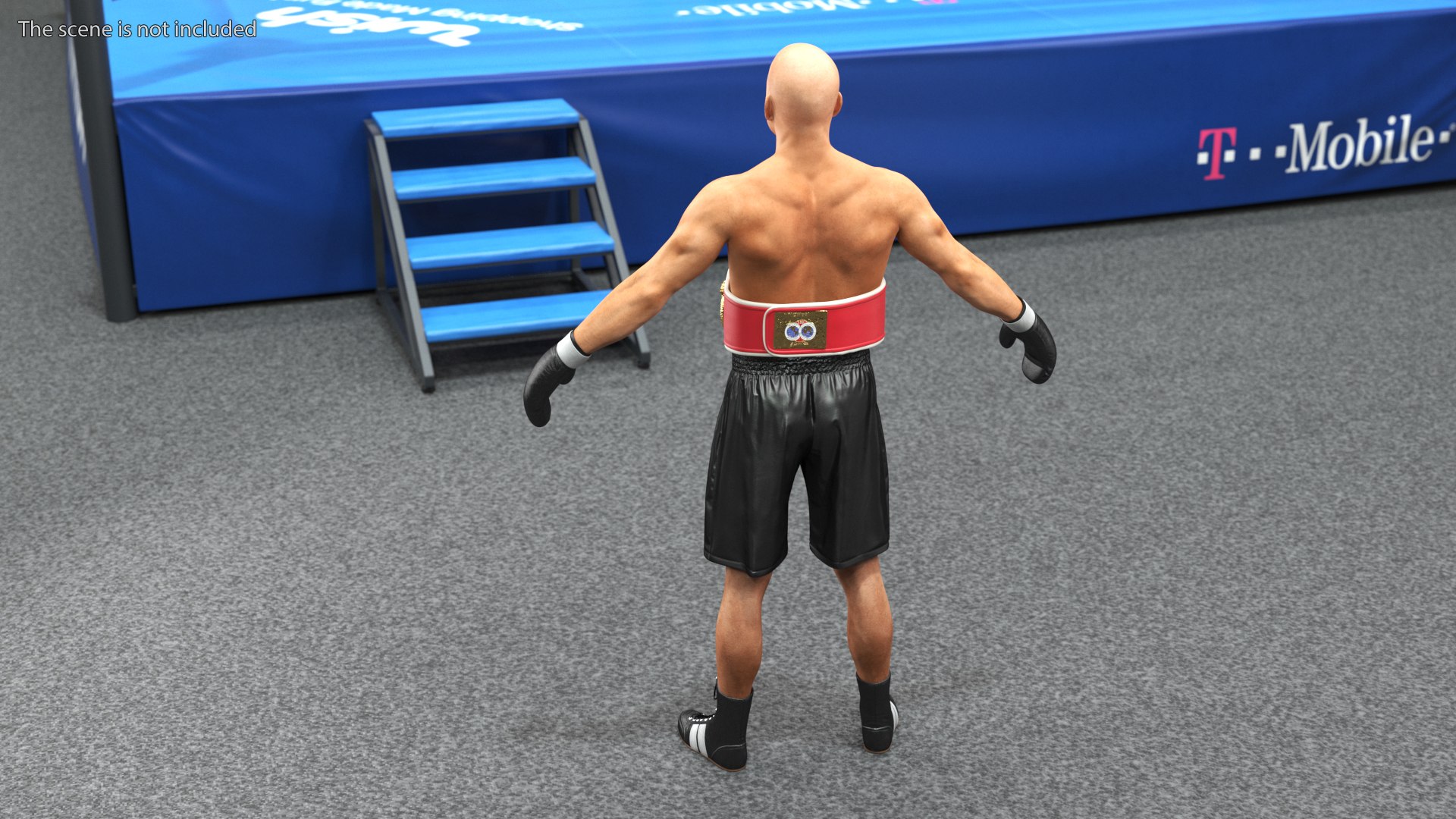 IBF Boxing Champion Rigged 3D Model - TurboSquid 2121995