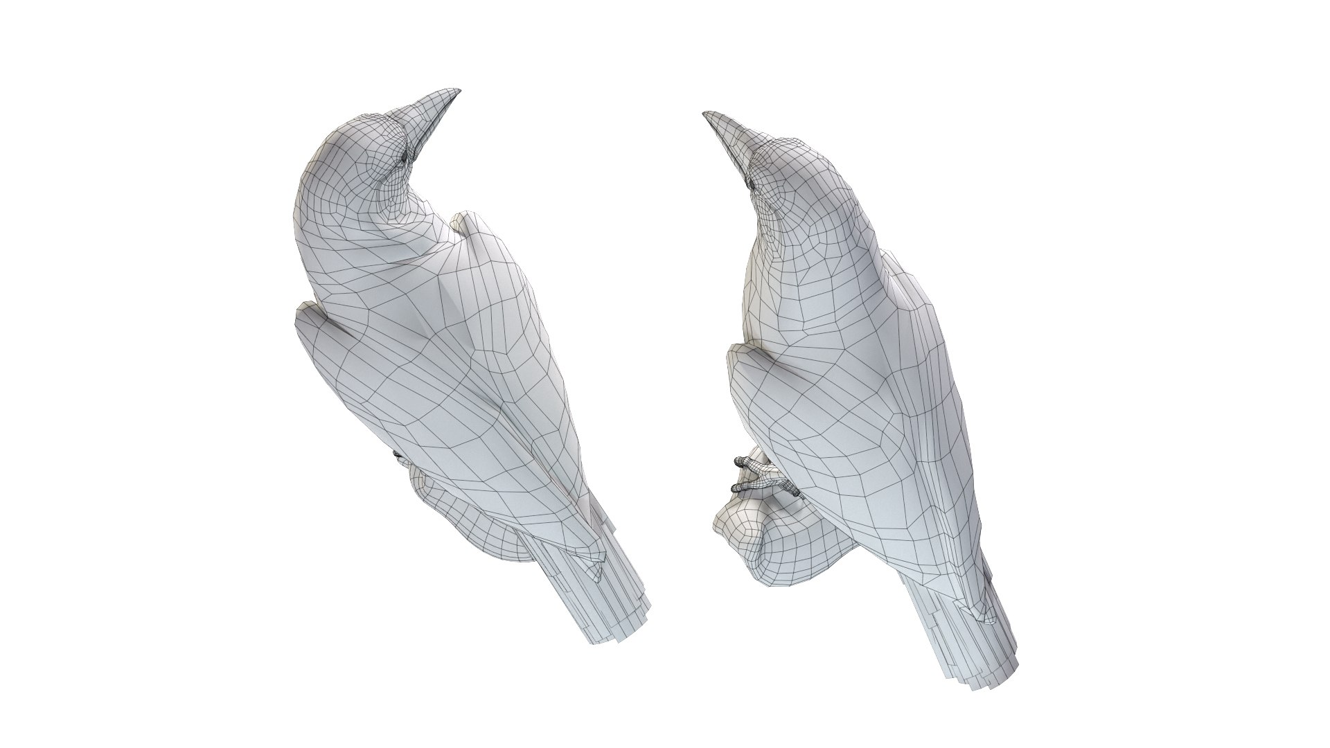 3D Raven Model - TurboSquid 1781178