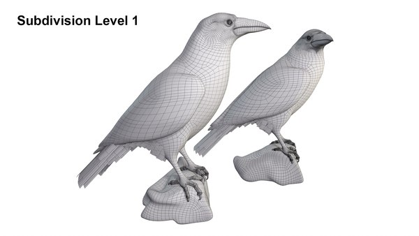 Rabe 3D-Modell - TurboSquid 1781178