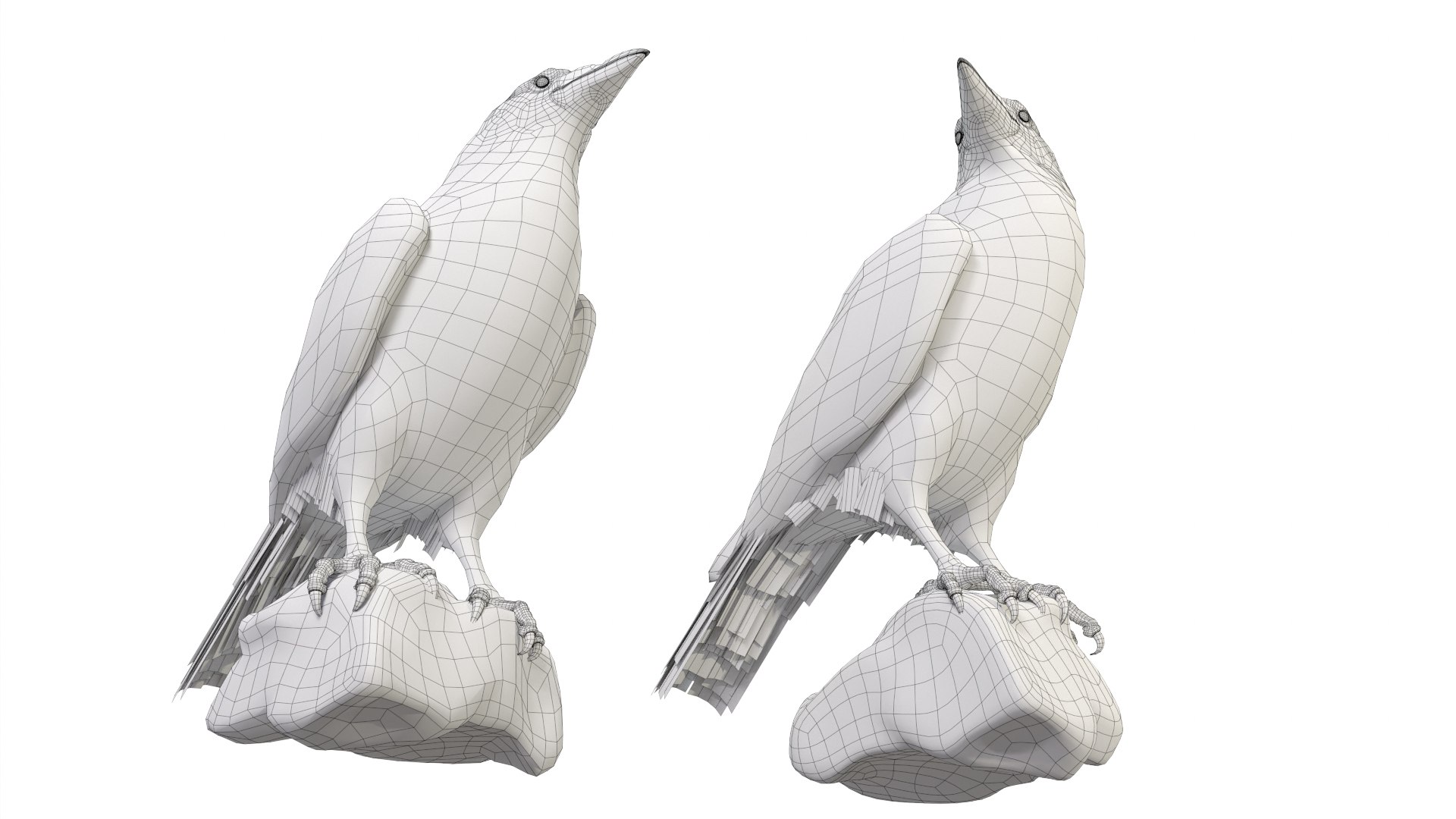3D Raven Model - TurboSquid 1781178
