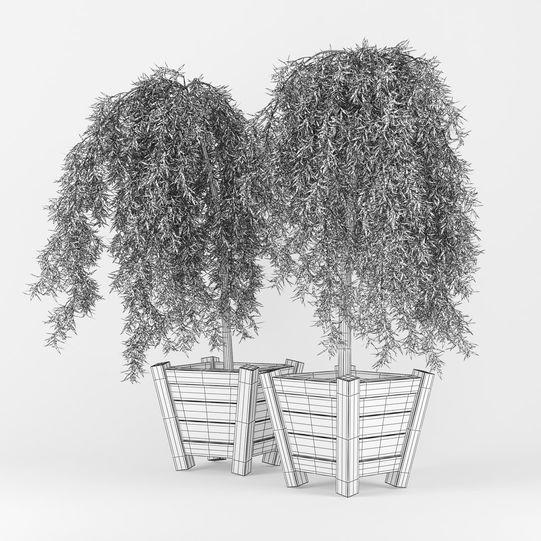 Tree model - TurboSquid 1167504