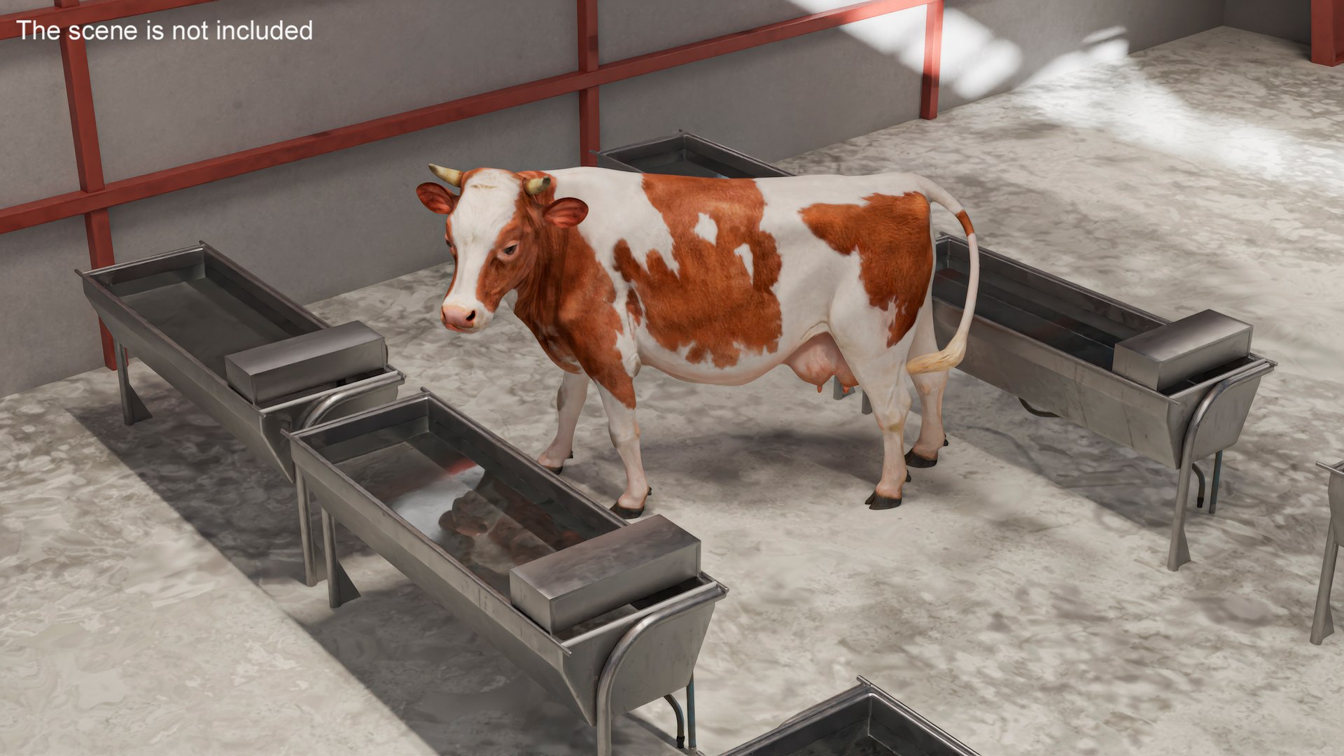 Cattle Water Bowl And Cow 3D Model - TurboSquid 2376532