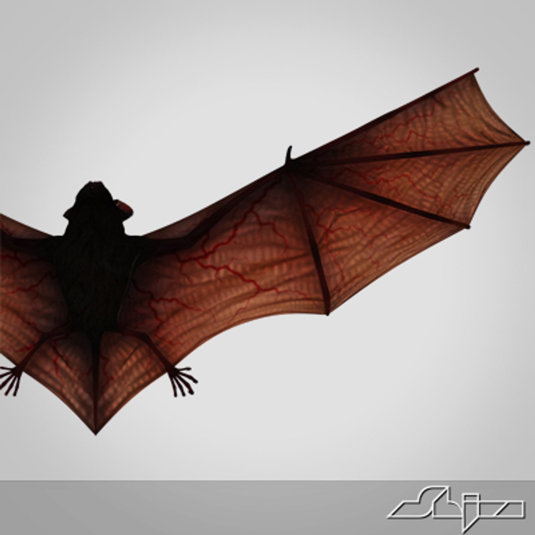 max rigged vampire bat