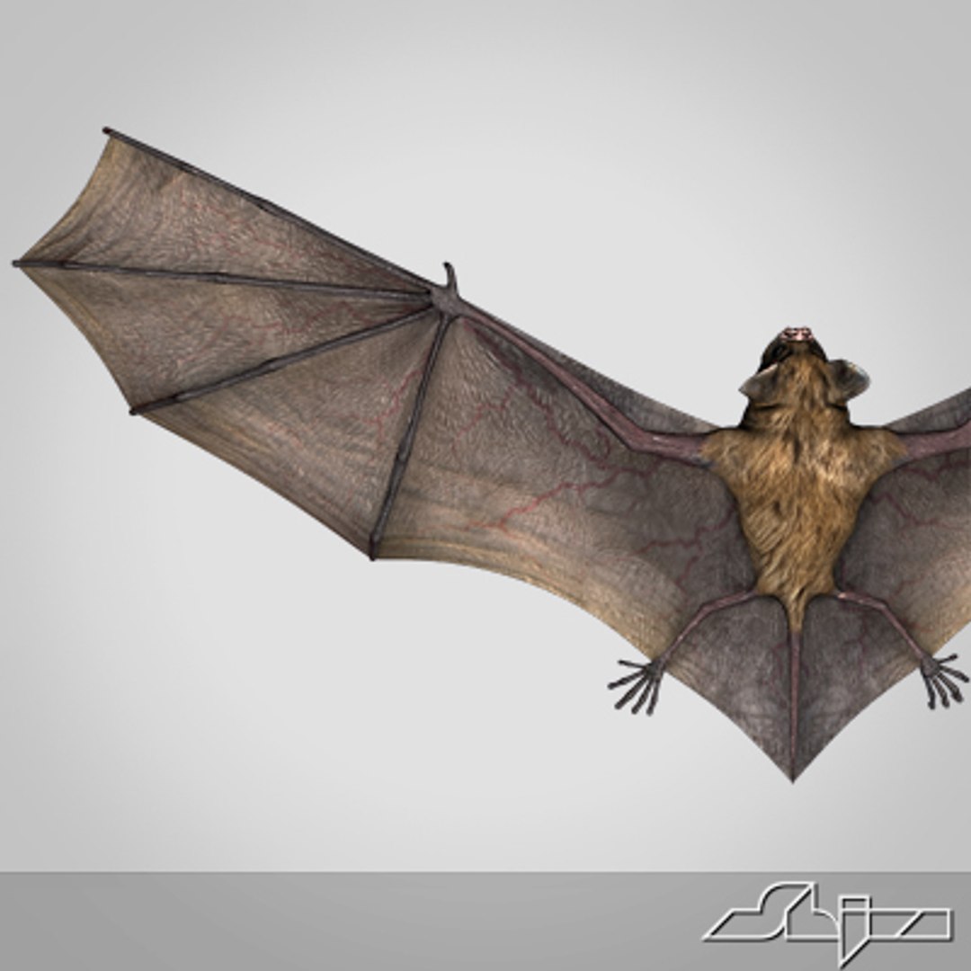 max rigged vampire bat
