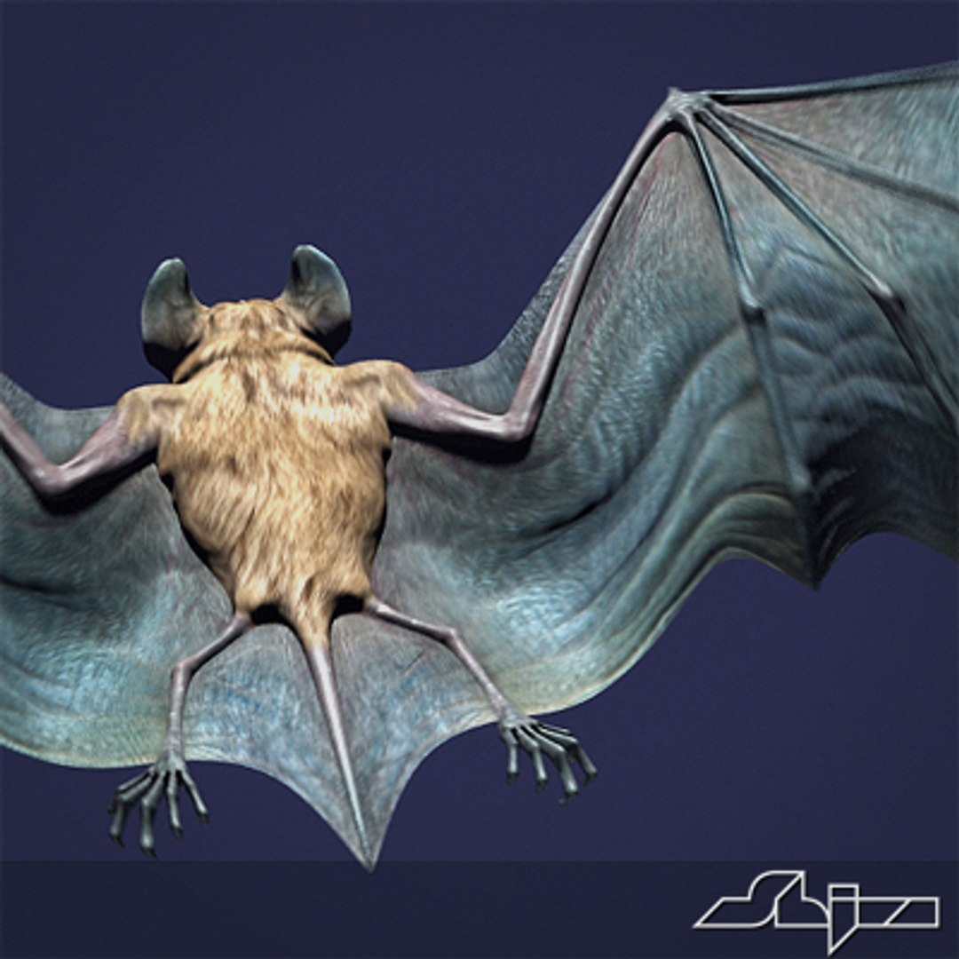 max rigged vampire bat