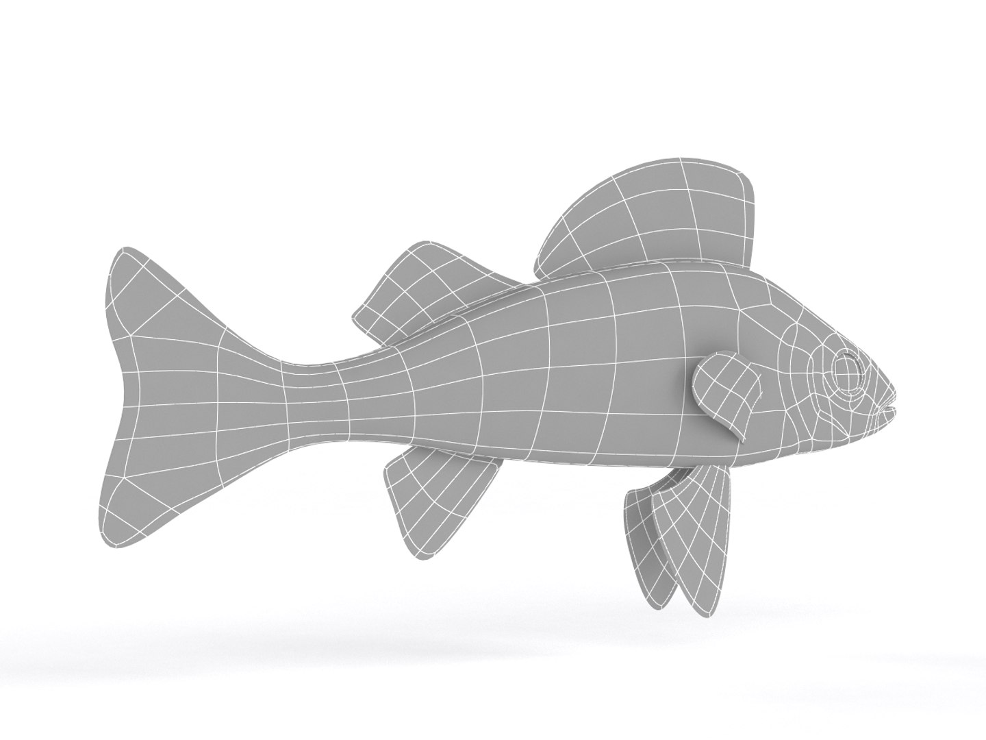 Realistic Perch Fish 3D Model - TurboSquid 1634165