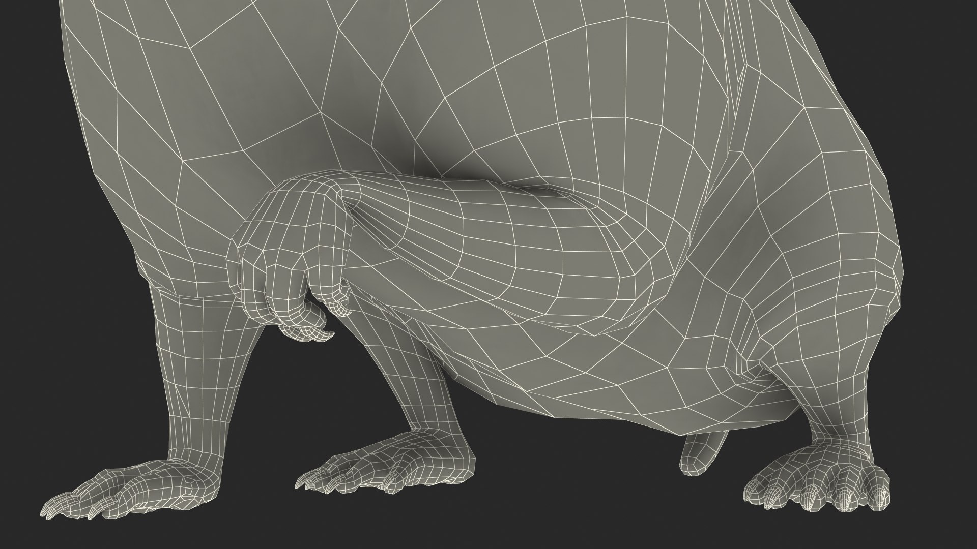 3D Syrian Teddy Bear Hamster Black Model - TurboSquid 2050989