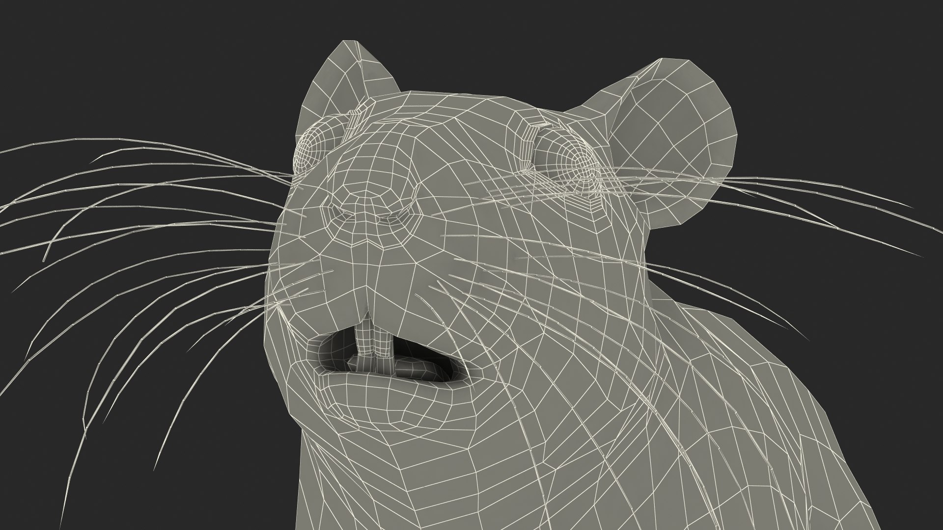 3D Syrian Teddy Bear Hamster Black Model - TurboSquid 2050989
