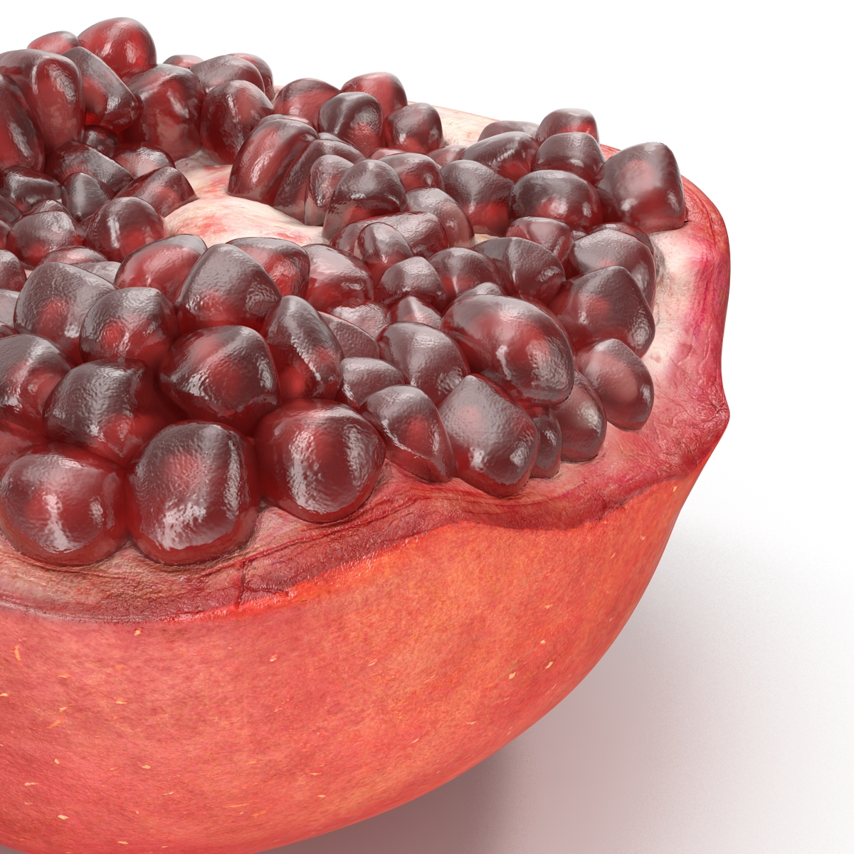 3d model of pomegranate cross section modeled