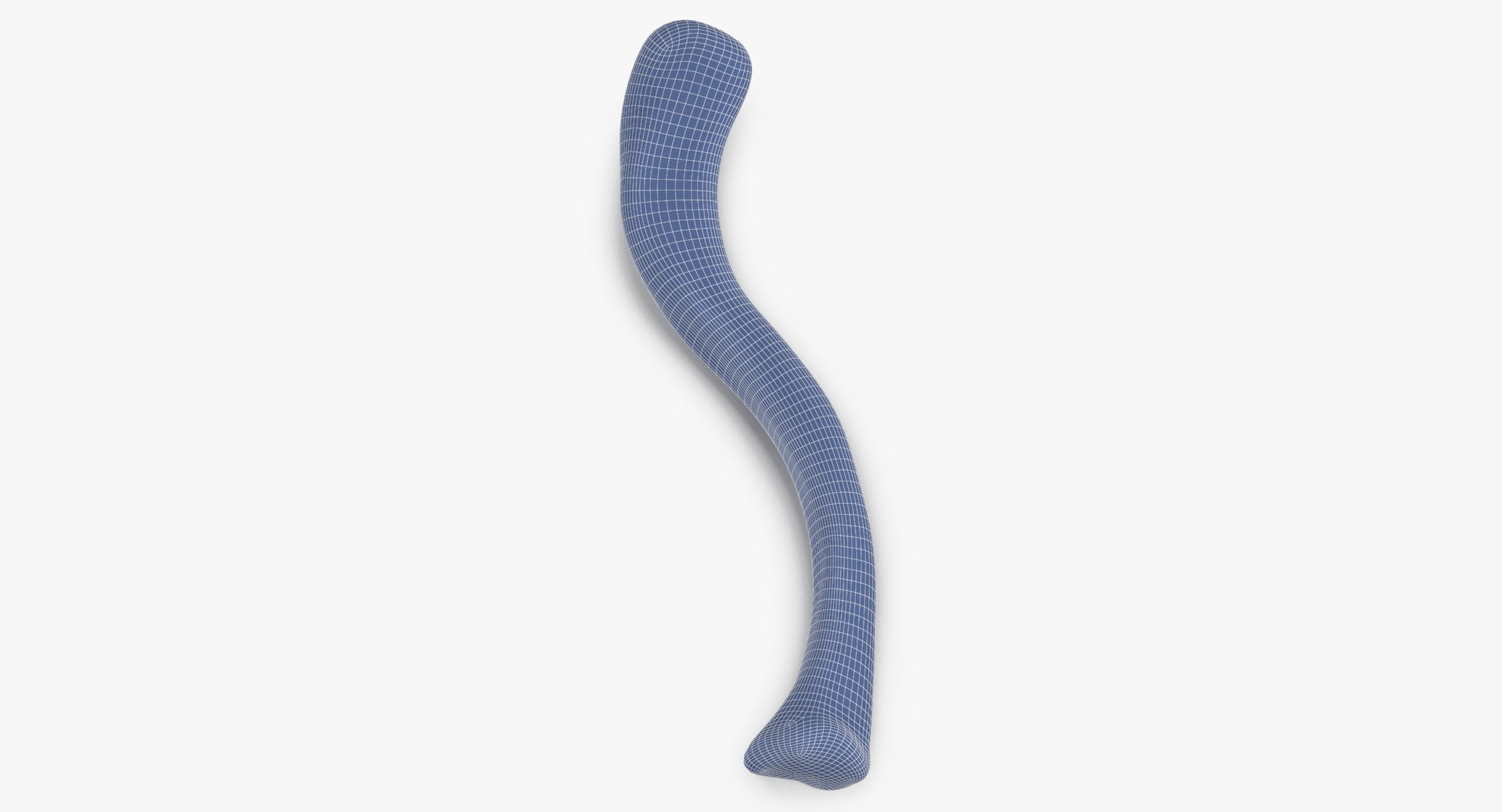 3D Human Clavicle Bone Collarbone - TurboSquid 1423199