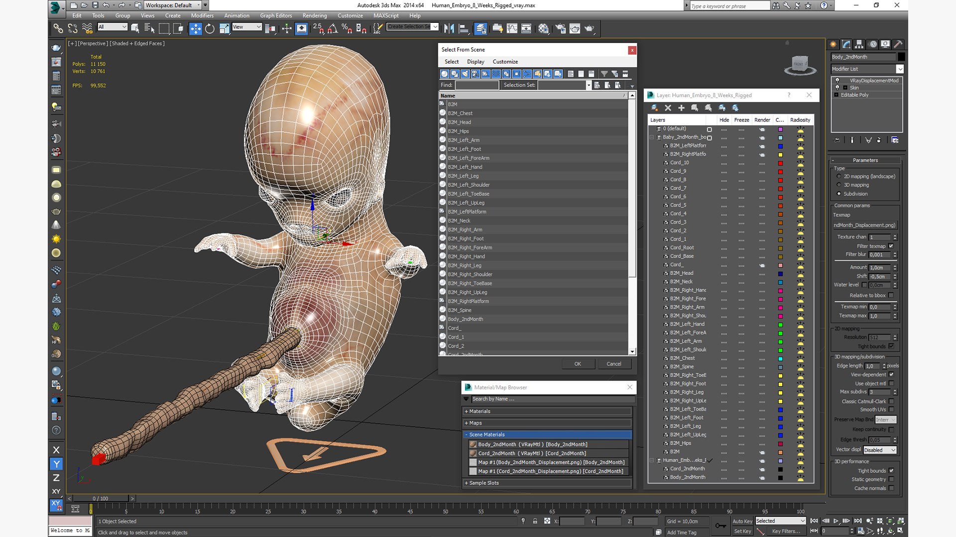 3D Model Human Embryo 8 Weeks - TurboSquid 1659482