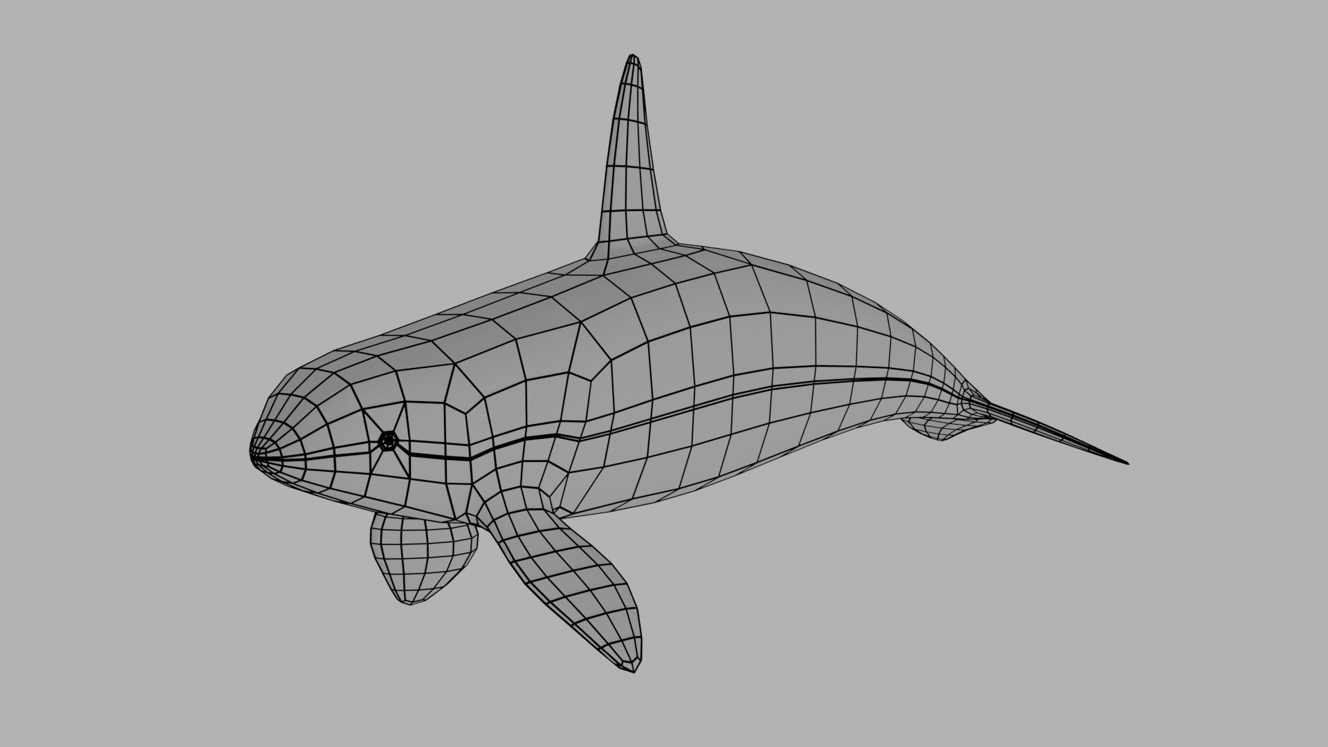3D Orca - Killer Whale 3D Model - TurboSquid 2448931