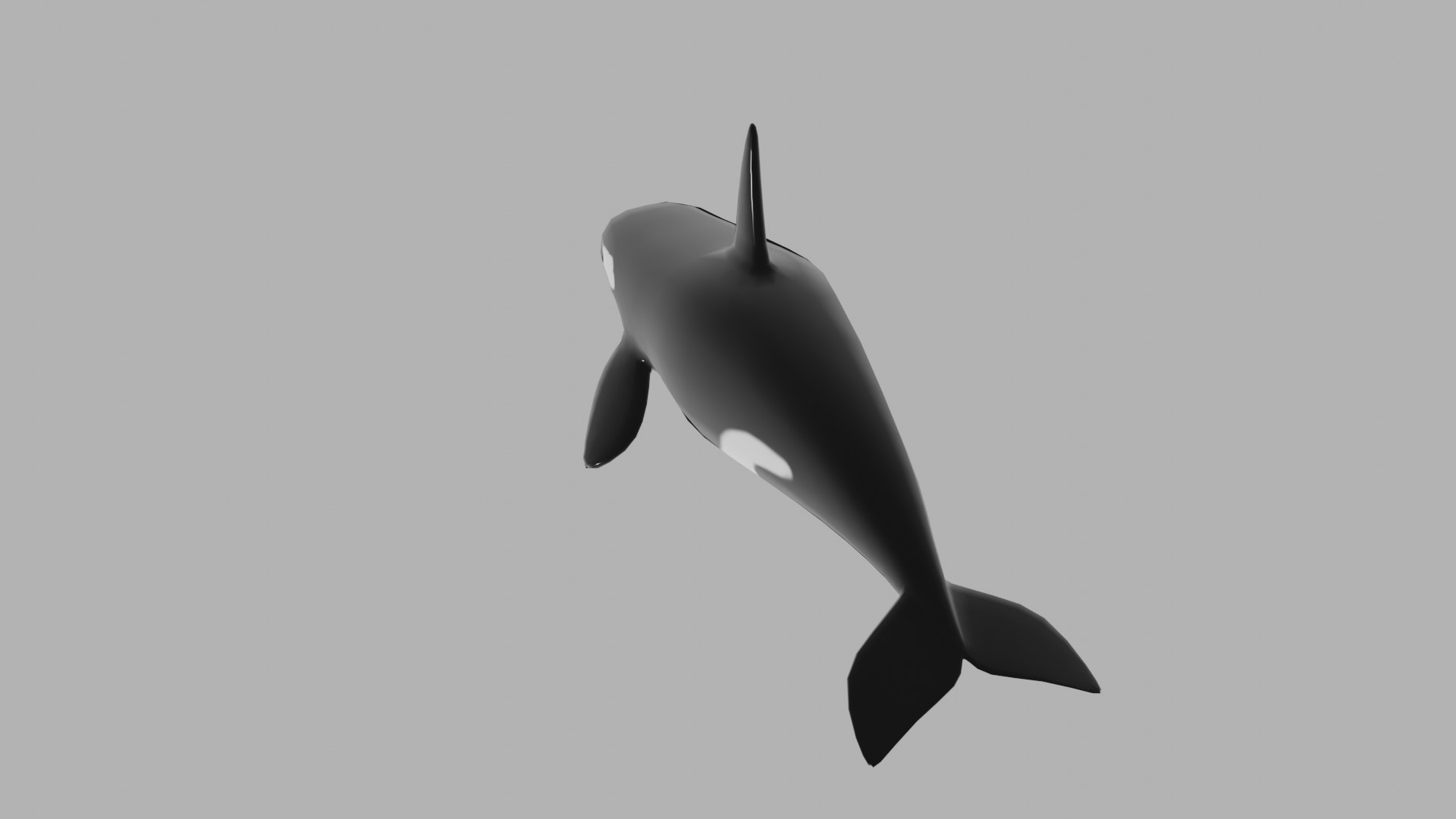 3D Orca - Killer Whale 3D Model - TurboSquid 2448931