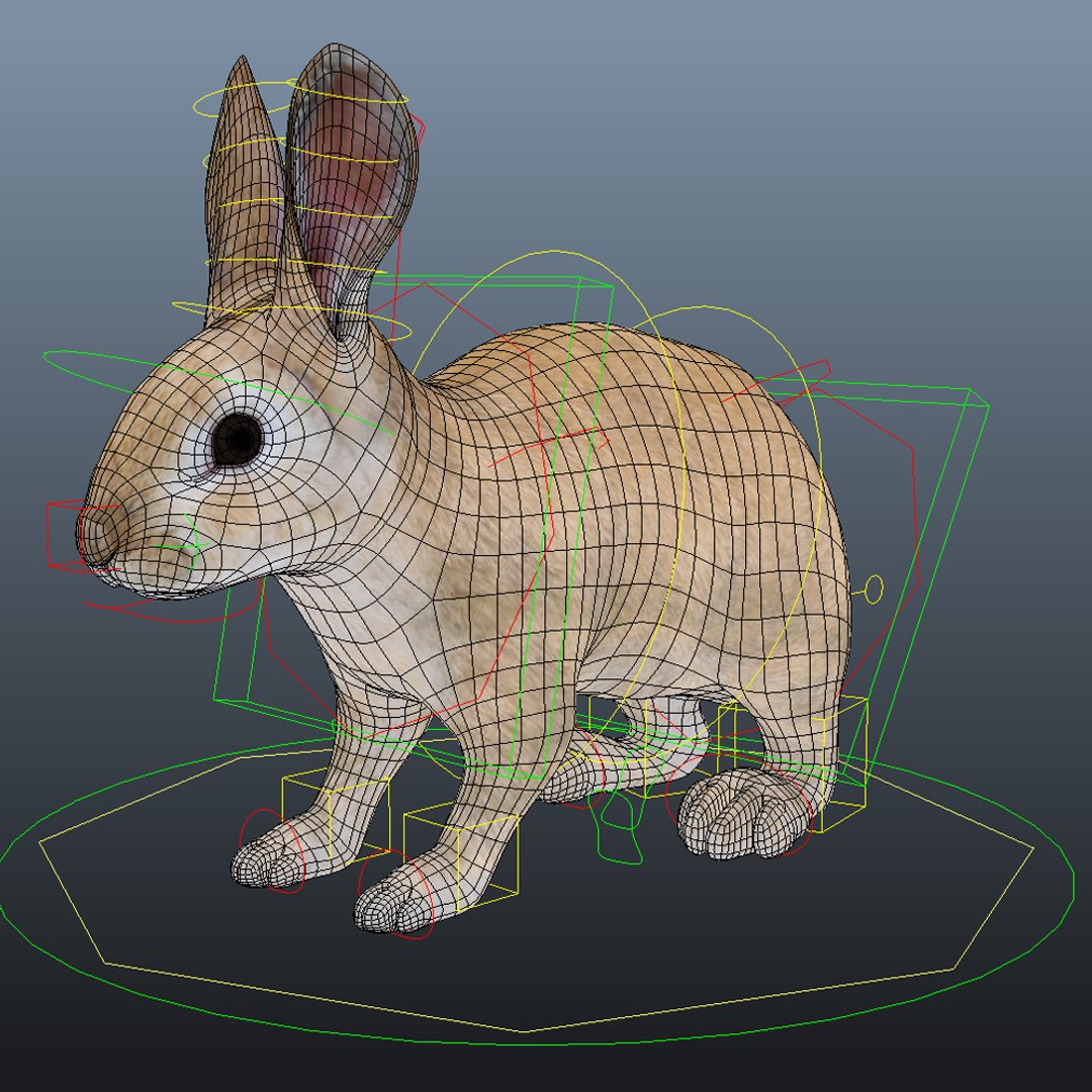 3d model rabbit cream fur animation