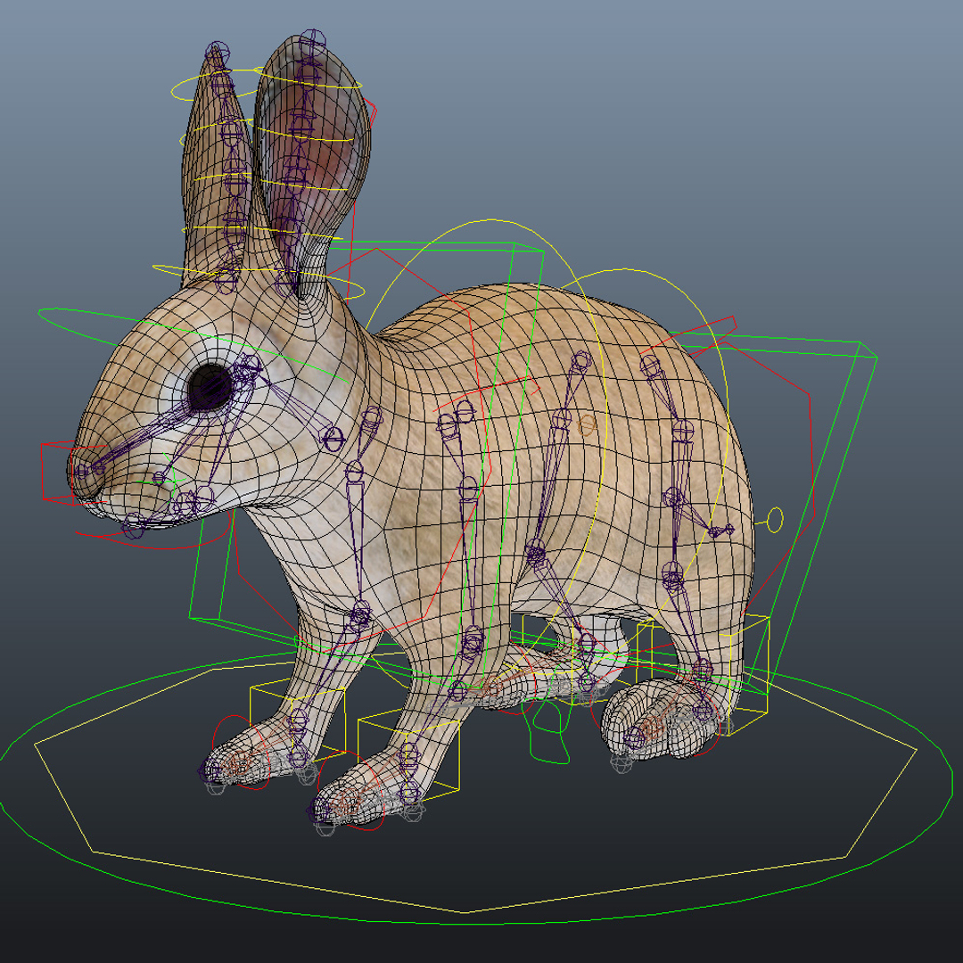 3d model rabbit cream fur animation