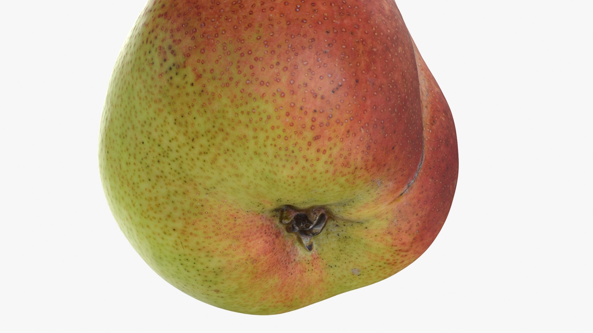 Forelle Pear Model - TurboSquid 2165178