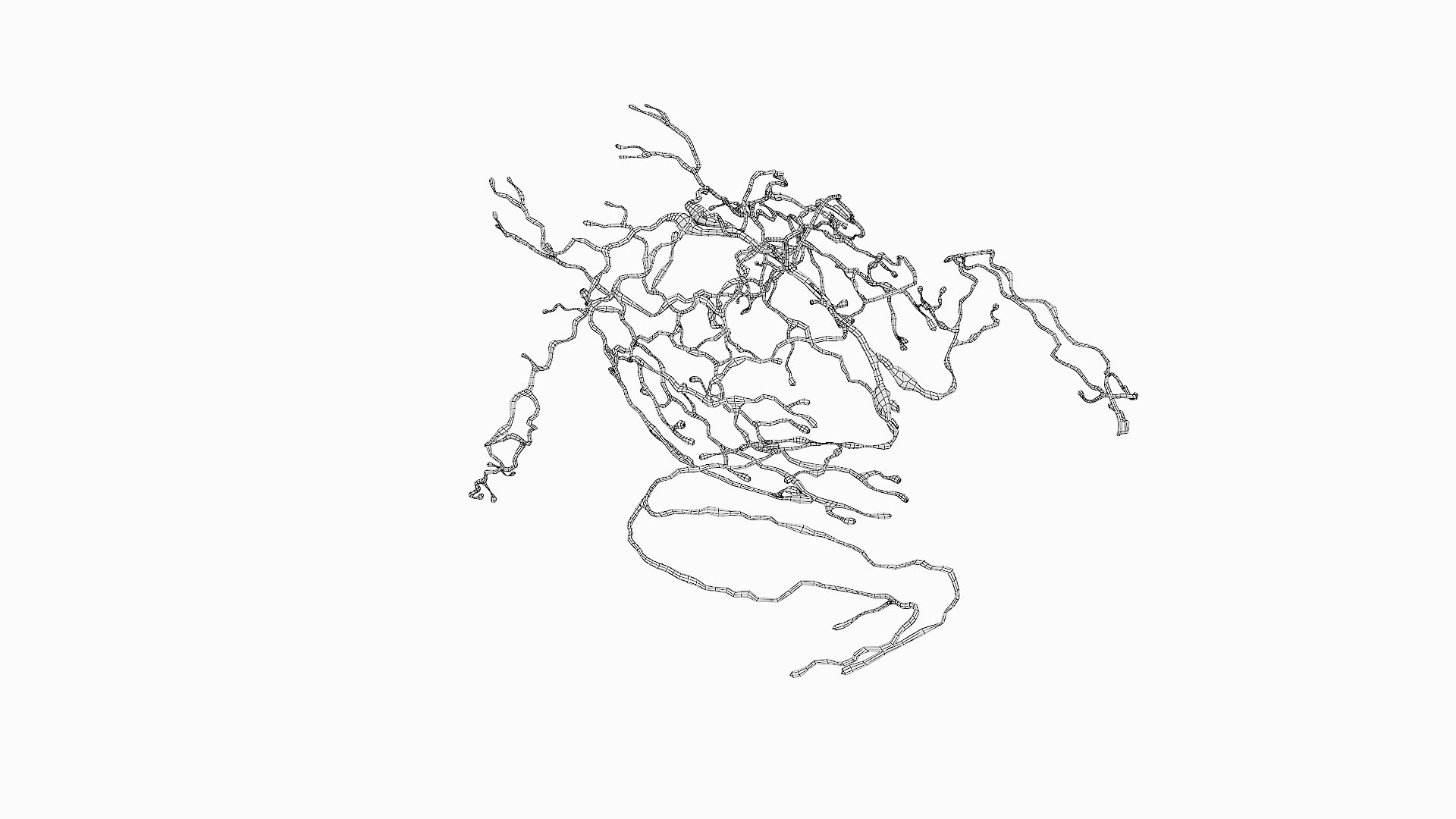 Frog Body Skeleton and Lymphatic System Static model - TurboSquid 1907968