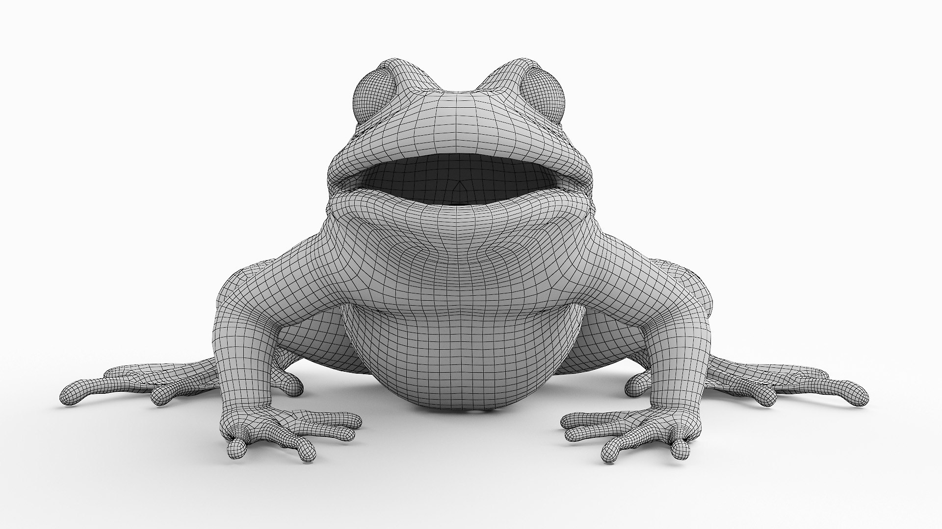 Frog Body Skeleton And Lymphatic System Static Model - TurboSquid 1907968