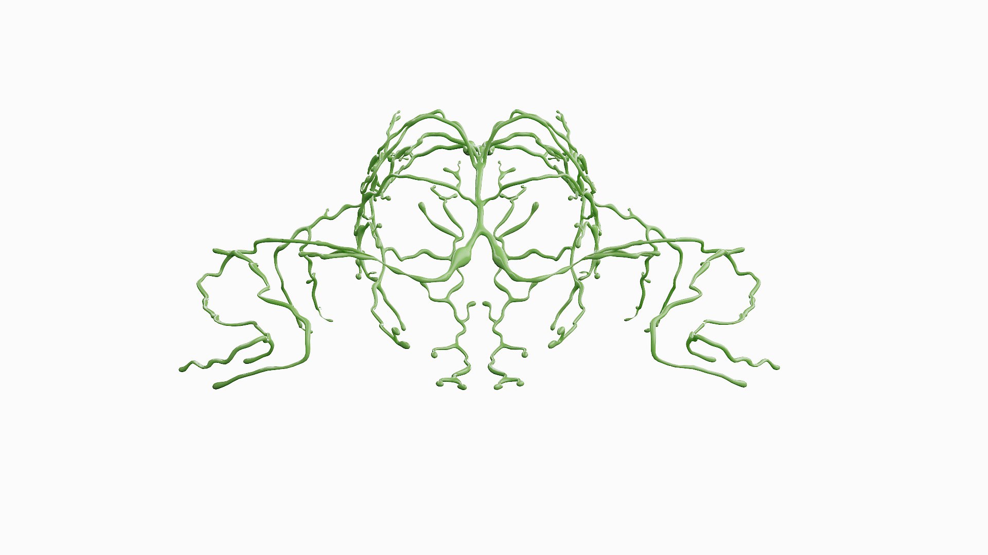 Frog Body Skeleton And Lymphatic System Static Model - TurboSquid 1907968