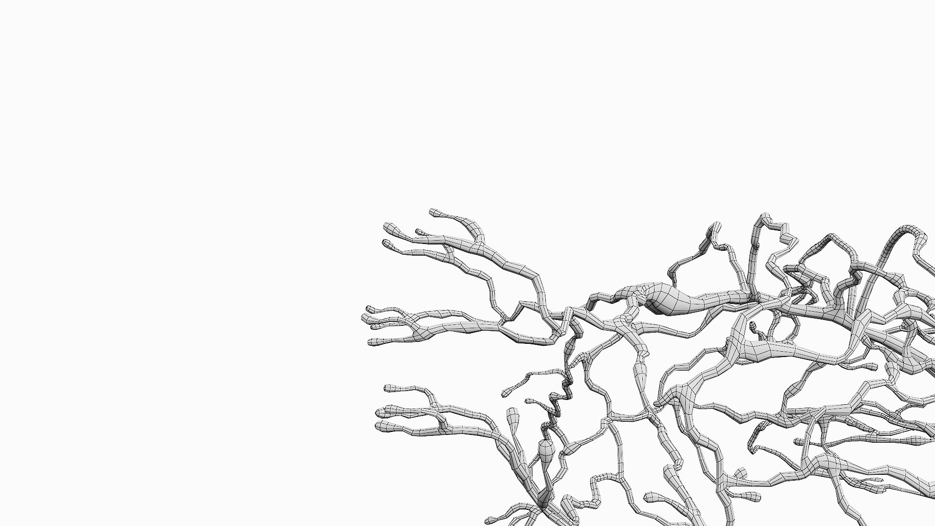 Frog Body Skeleton and Lymphatic System Static model - TurboSquid 1907968