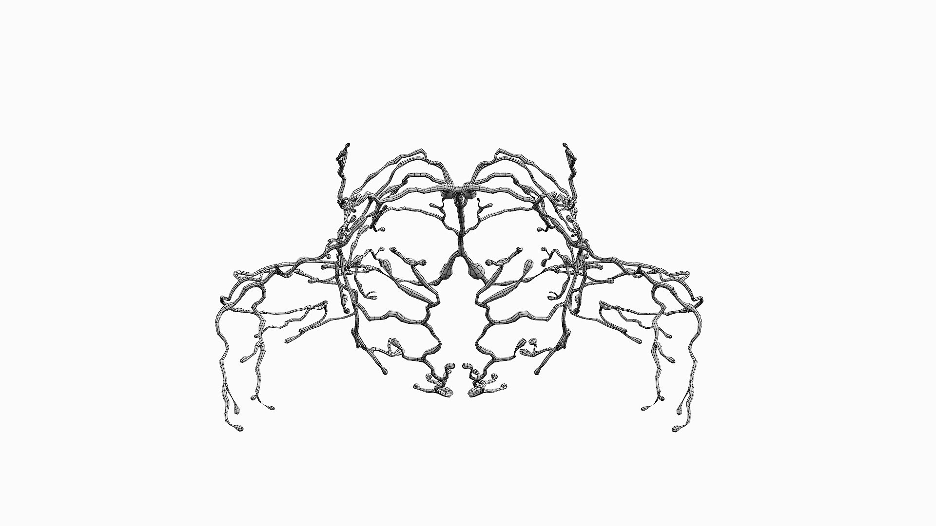 Frog Body Skeleton and Lymphatic System Static model - TurboSquid 1907968
