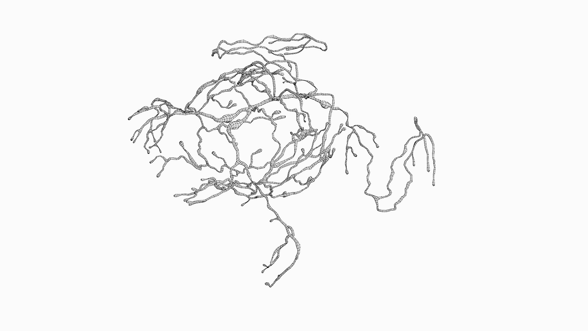 Frog Body Skeleton and Lymphatic System Static model - TurboSquid 1907968