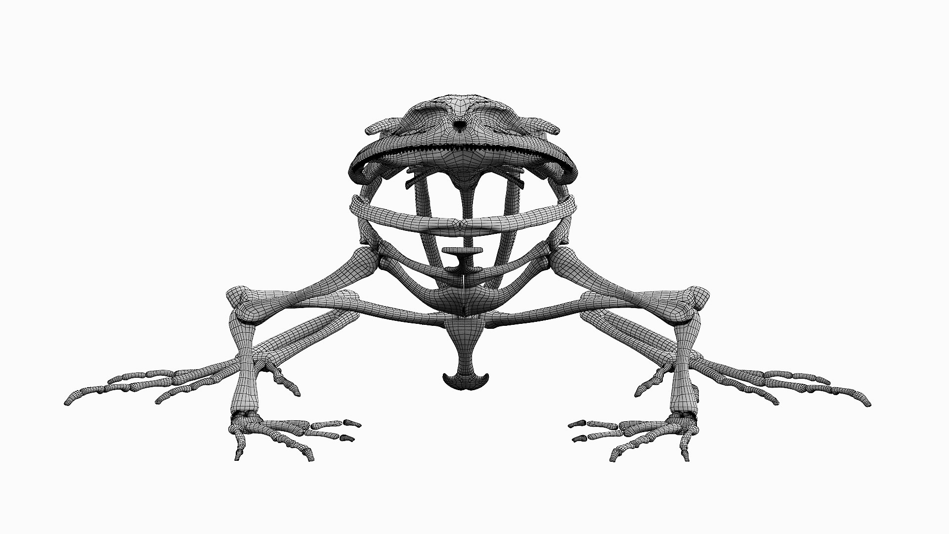 Frog Body Skeleton and Lymphatic System Static model - TurboSquid 1907968