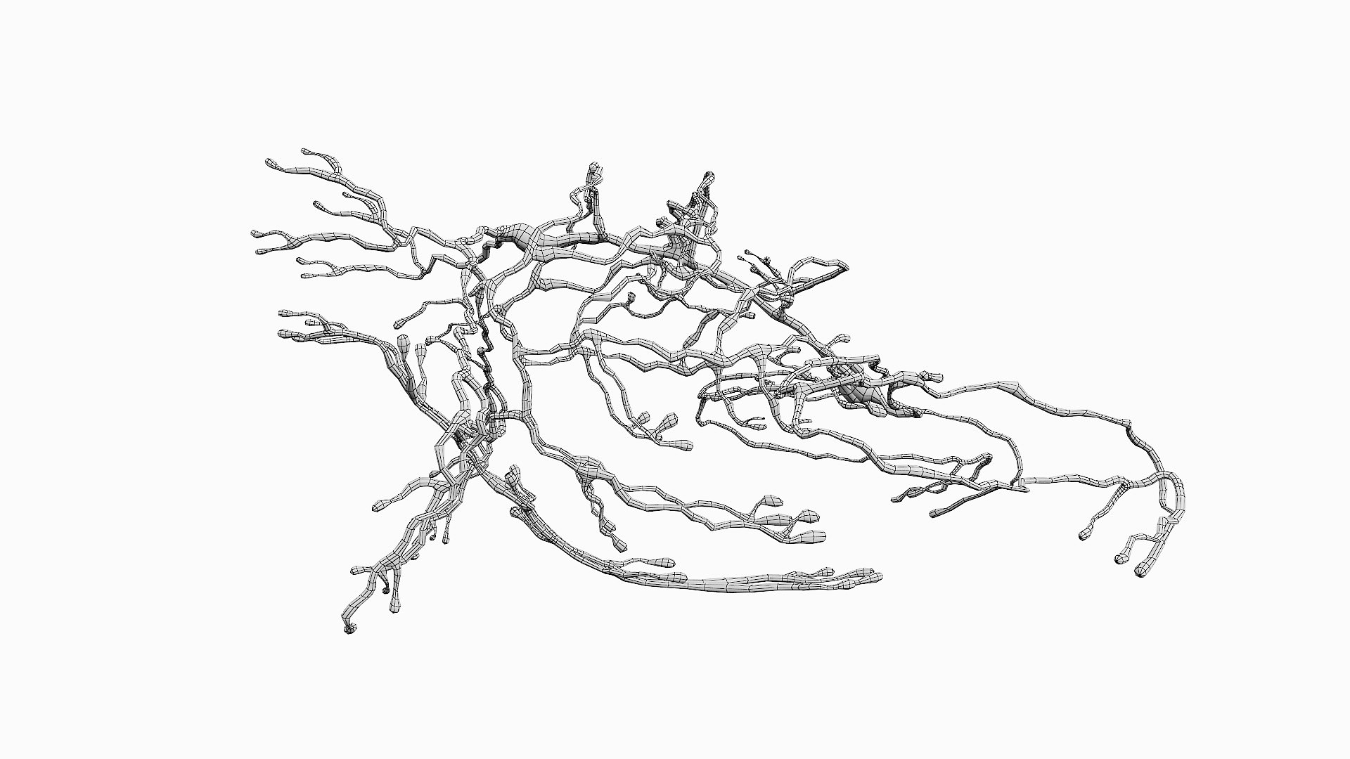 Frog Body Skeleton and Lymphatic System Static model - TurboSquid 1907968